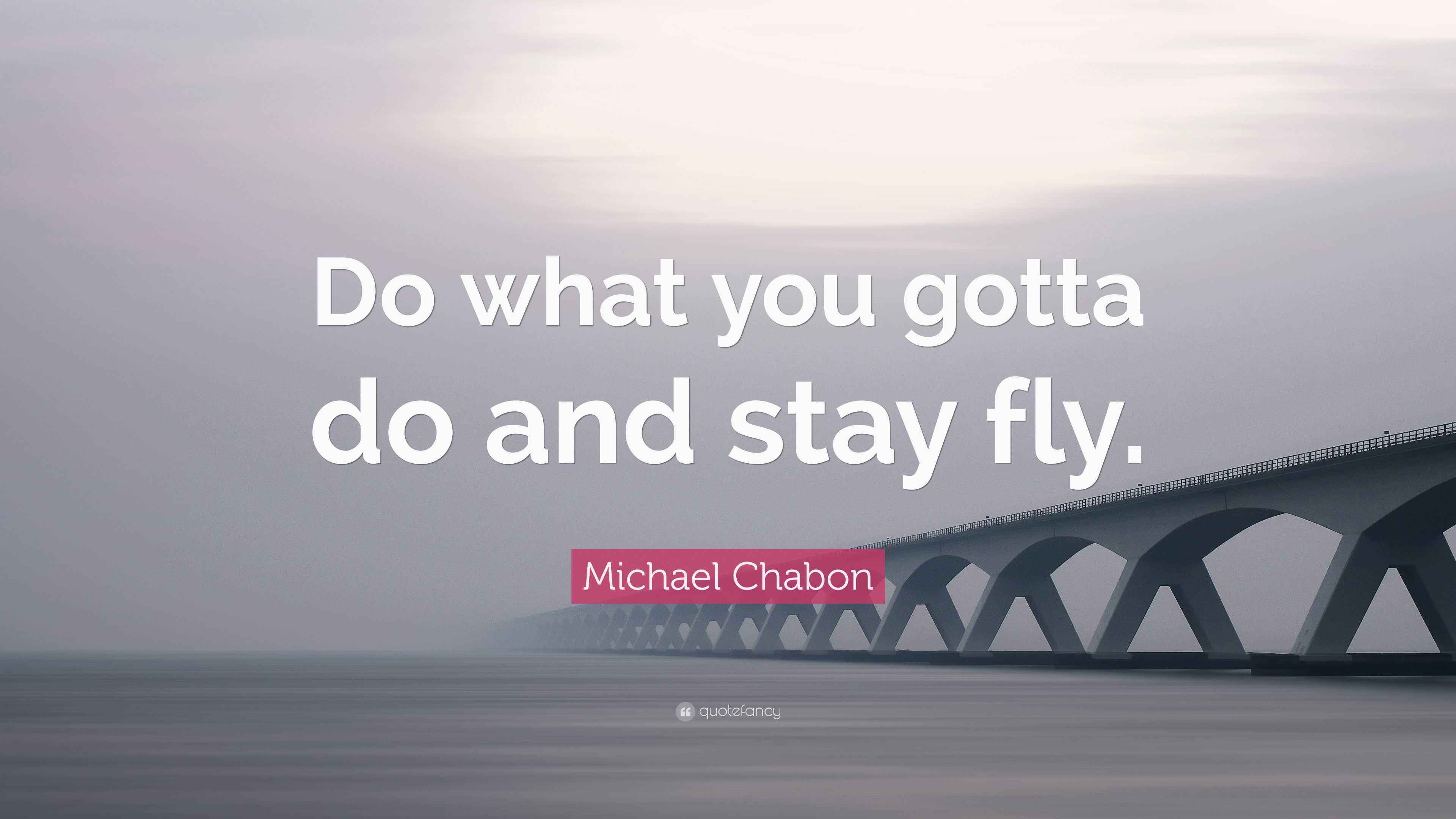 Michael Chabon Quote: “Do what you gotta do and stay fly.”