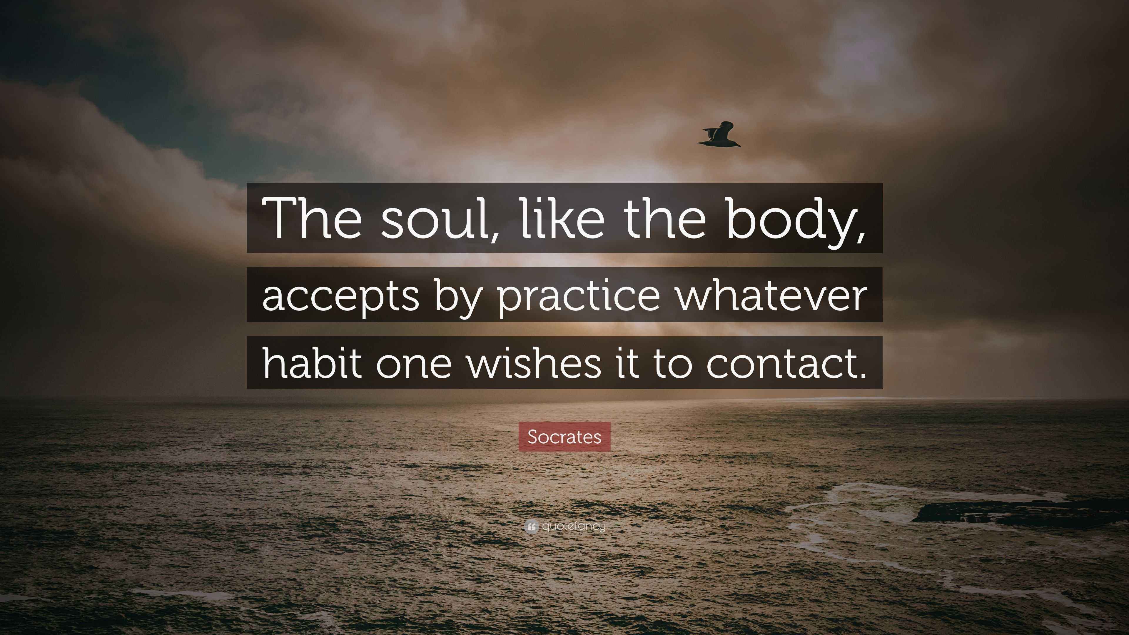 Socrates Quote: “The soul, like the body, accepts by practice whatever ...