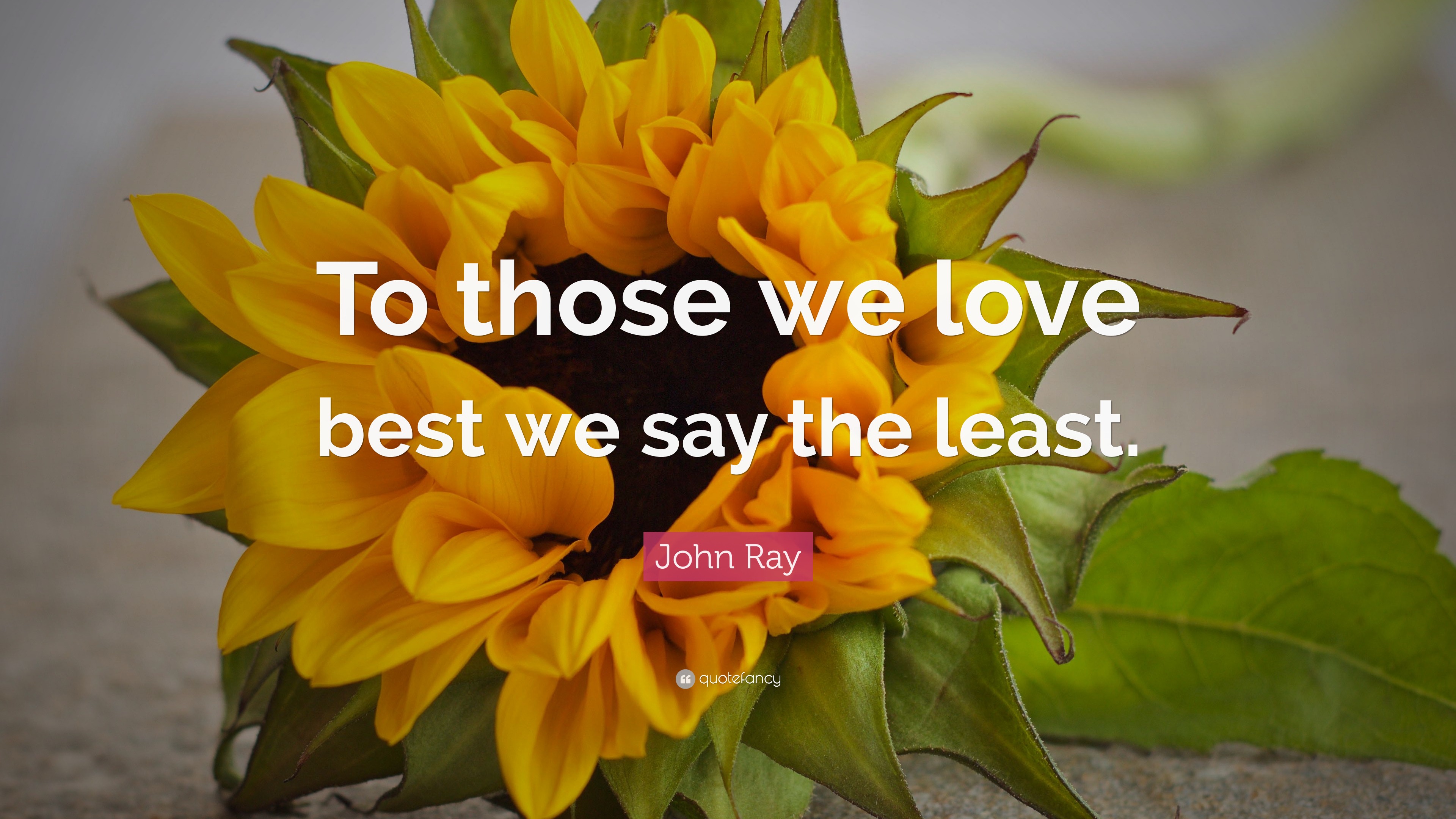 John Ray Quote: “To those we love best we say the least.”