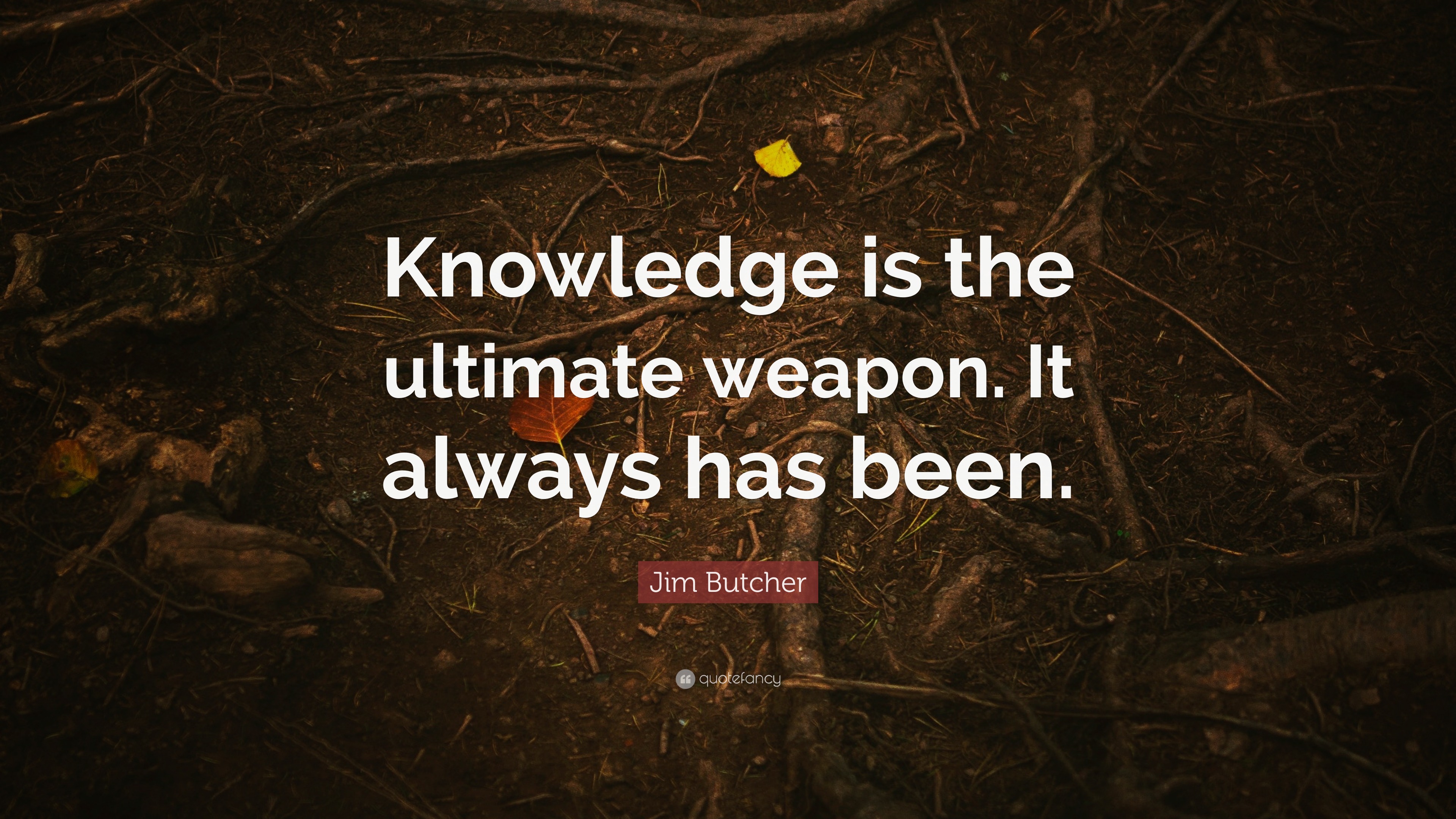 Jim Butcher Quote: “Knowledge is the ultimate weapon. It always has been.”