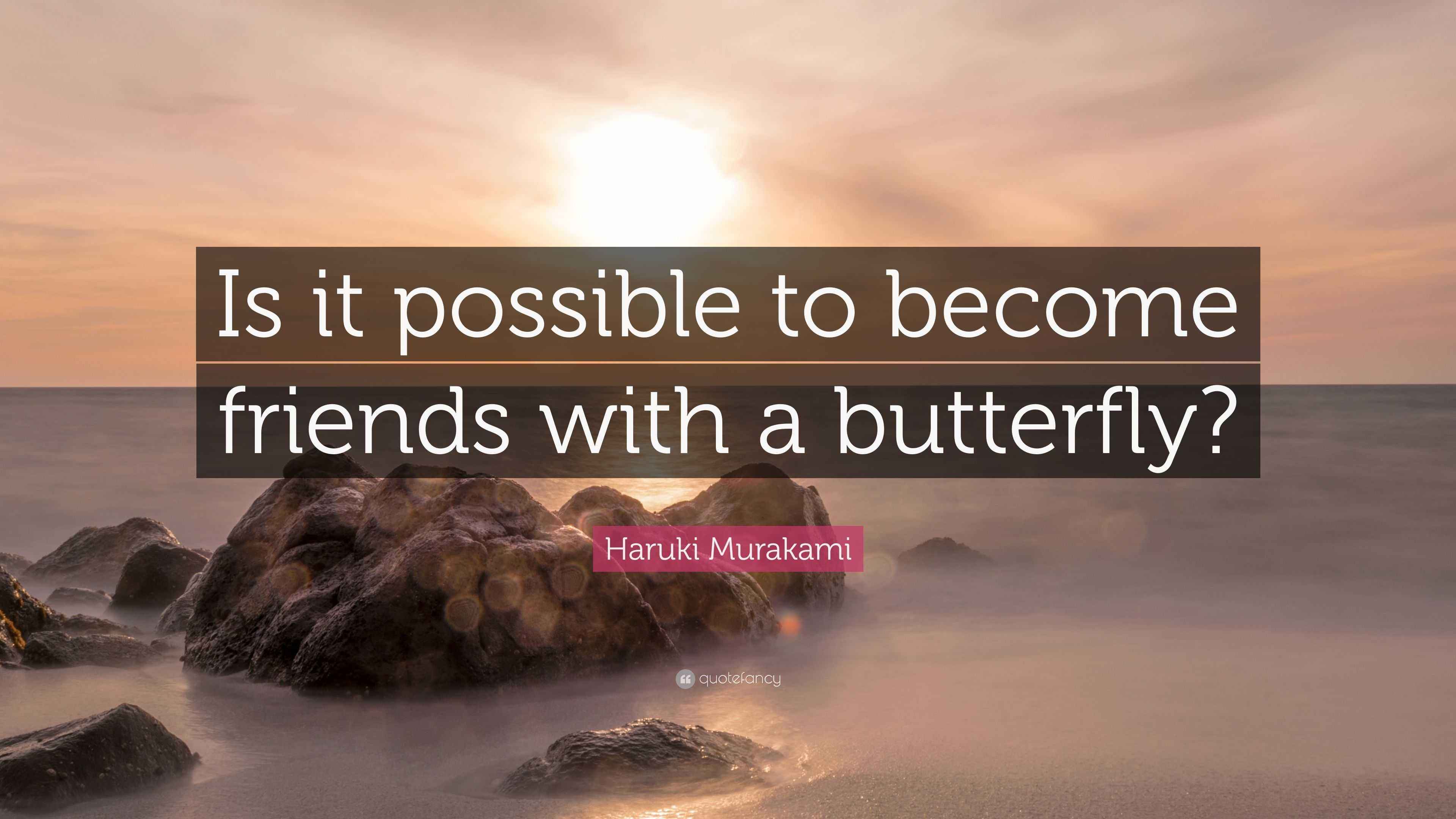 Haruki Murakami Quote: “Is it possible to become friends with a butterfly?”