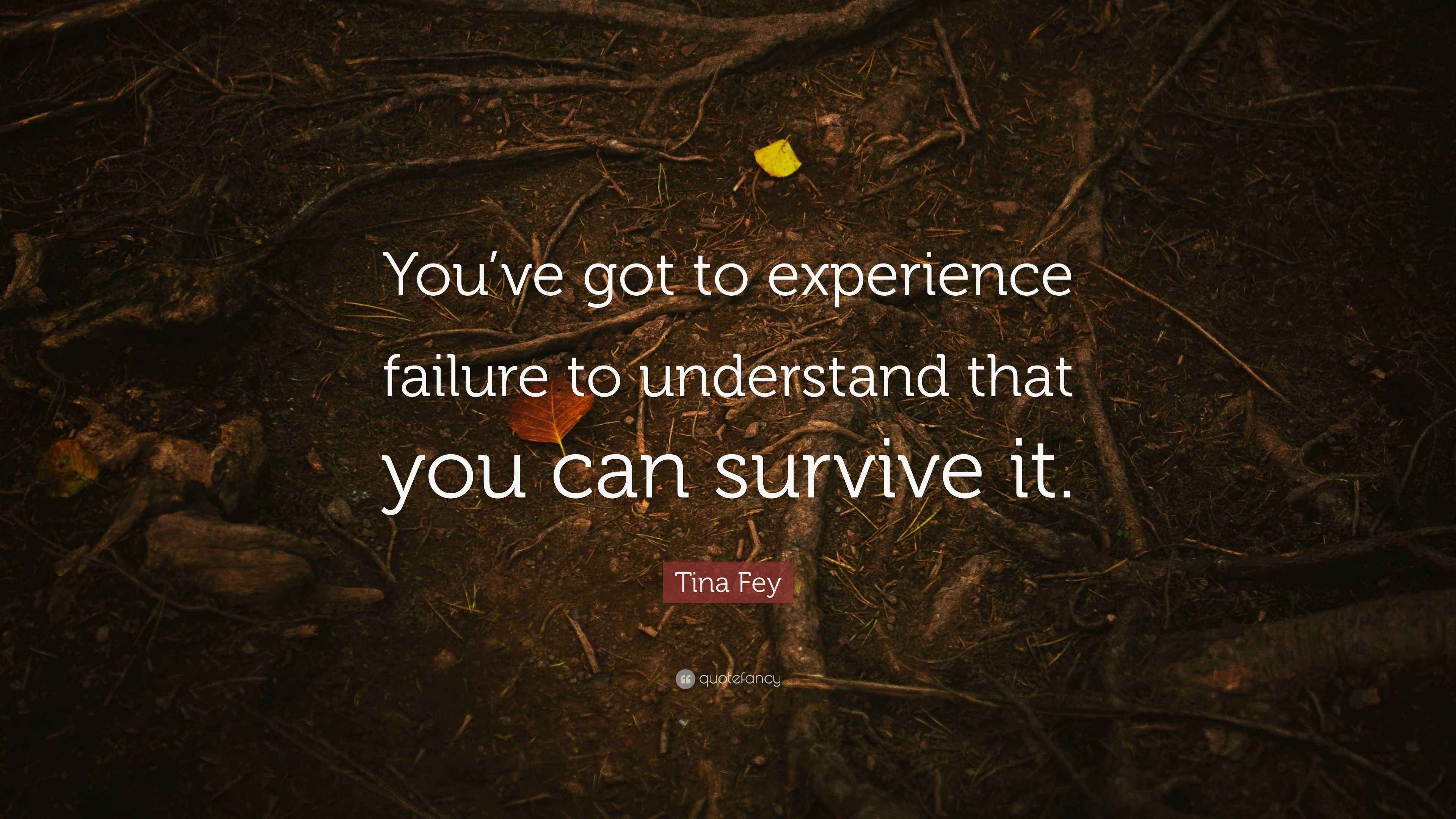 Tina Fey Quote: “You’ve got to experience failure to understand that ...