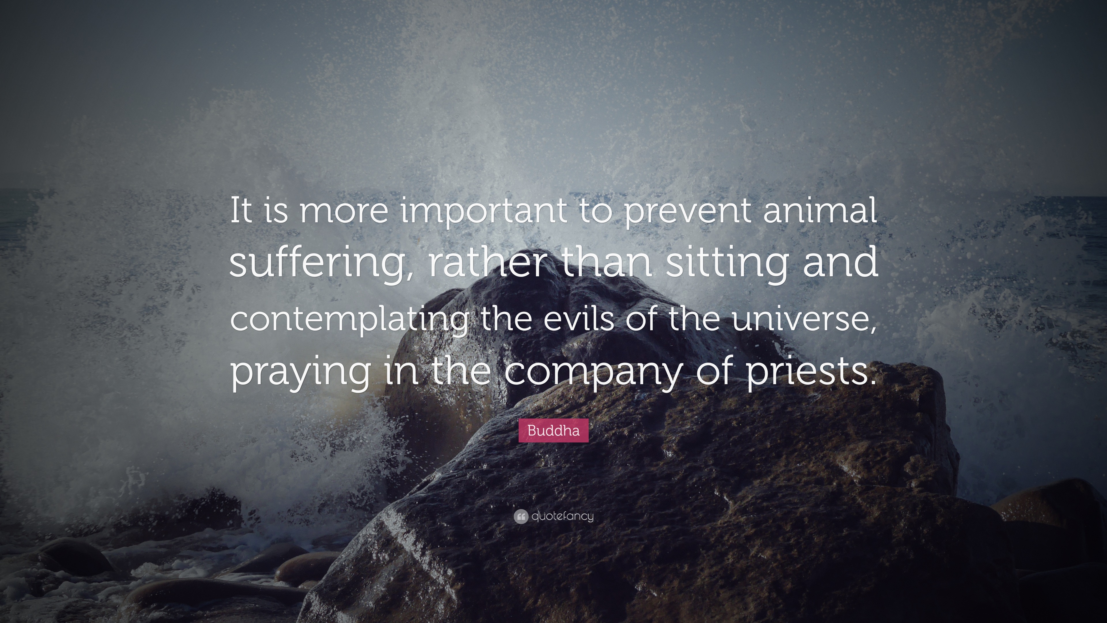 Buddha Quote: “It is more important to prevent animal suffering, rather ...