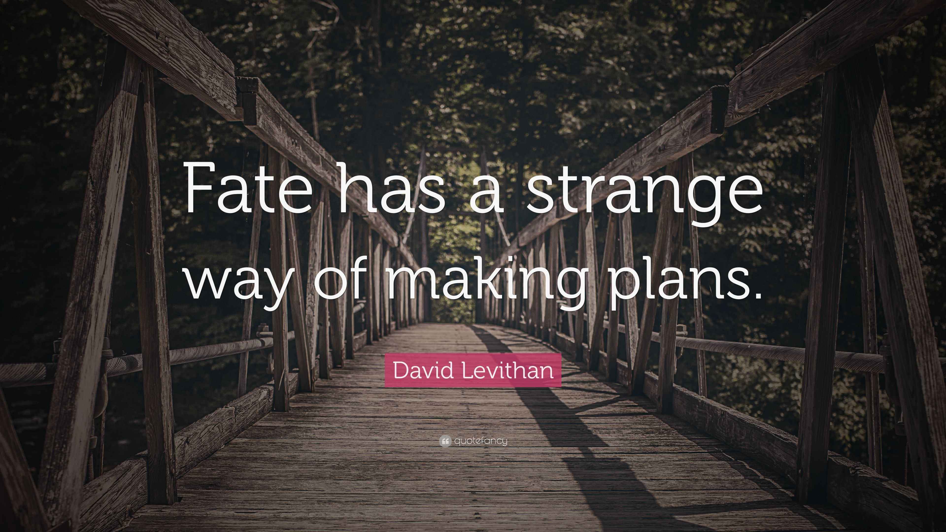 David Levithan Quote: “Fate has a strange way of making plans.”