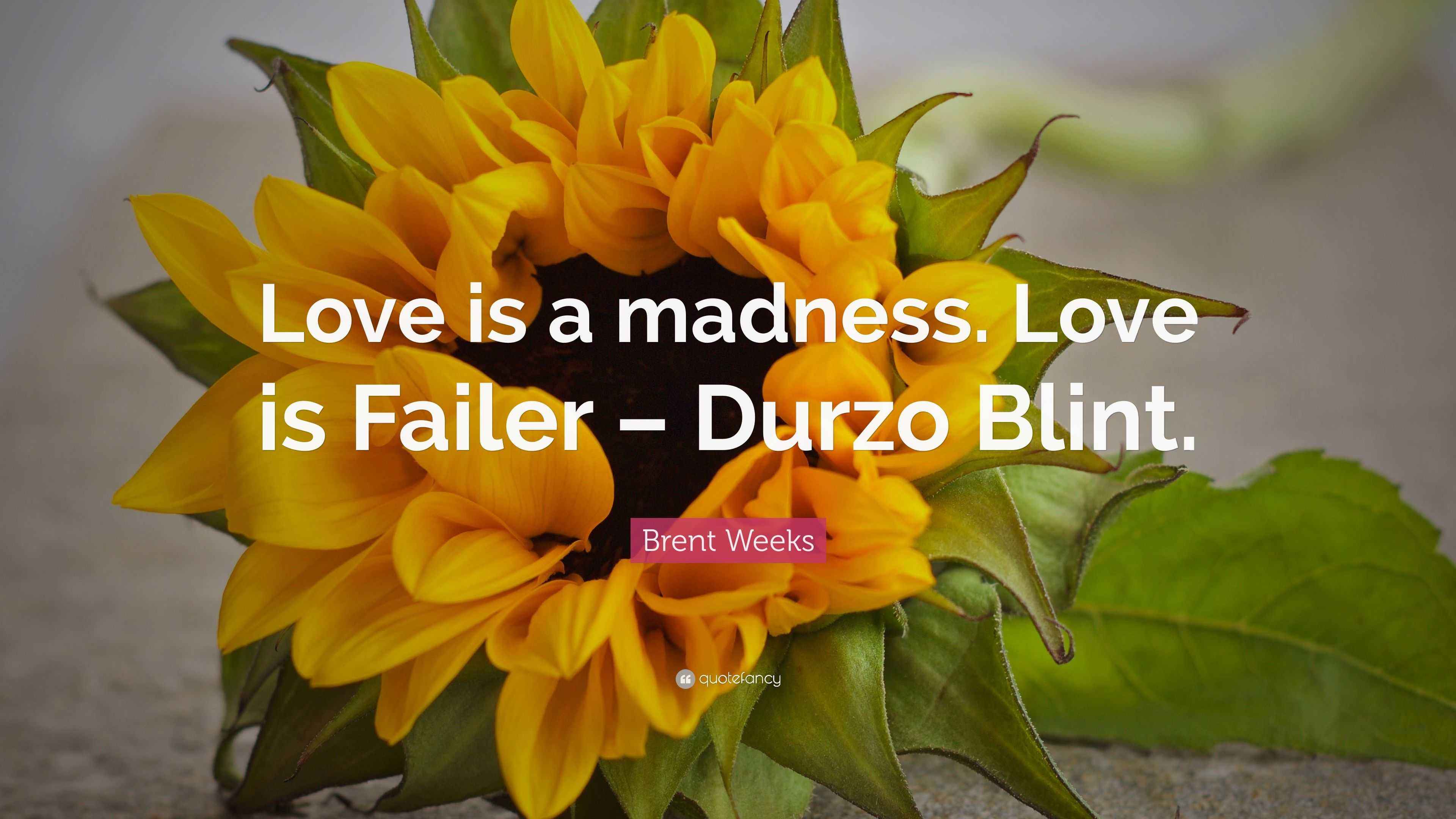 Brent Weeks Quote: “Love is a madness. Love is Failer – Durzo Blint.”