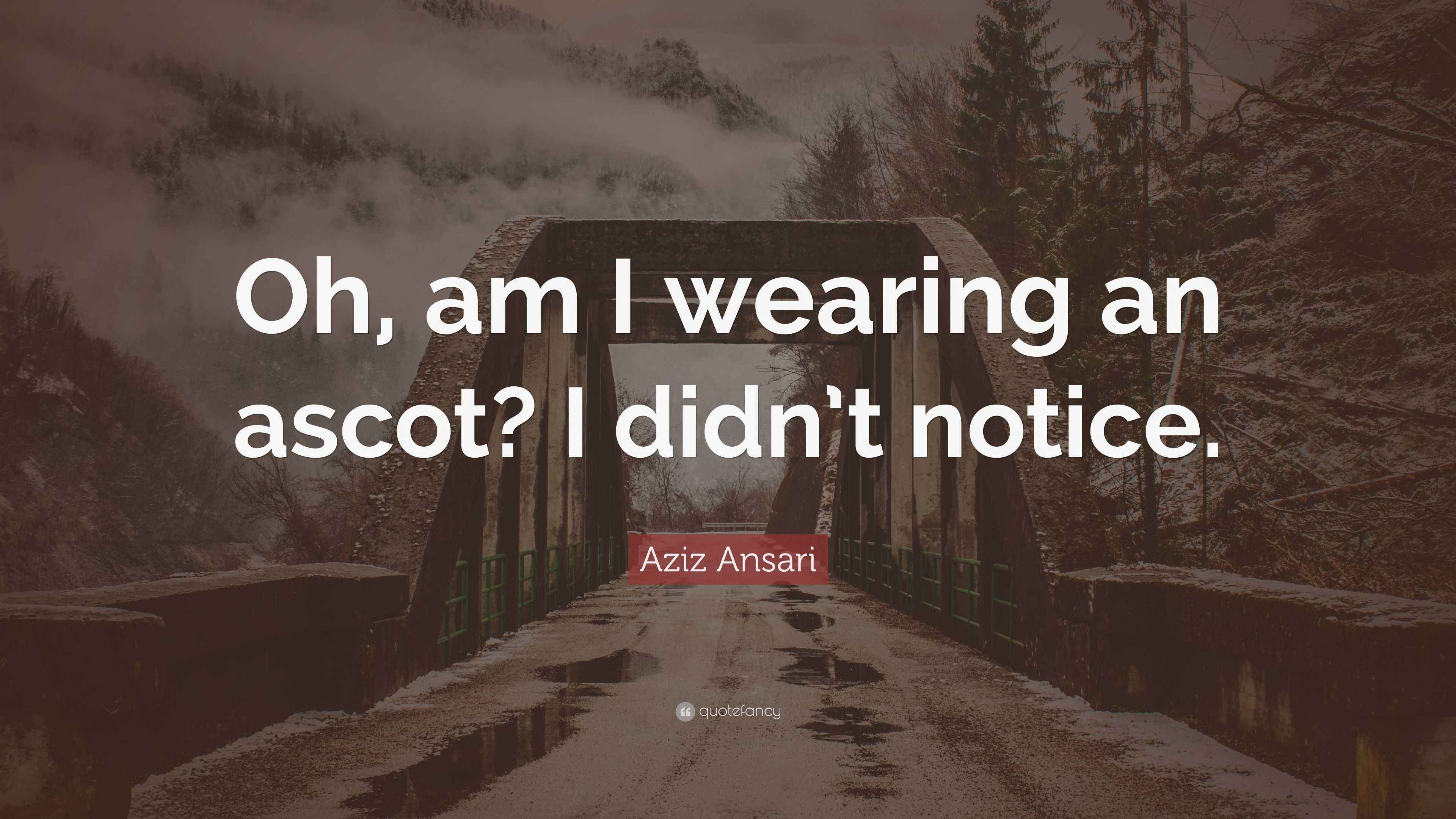 Aziz Ansari Quote: “Oh, am I wearing an ascot? I didn’t notice.”