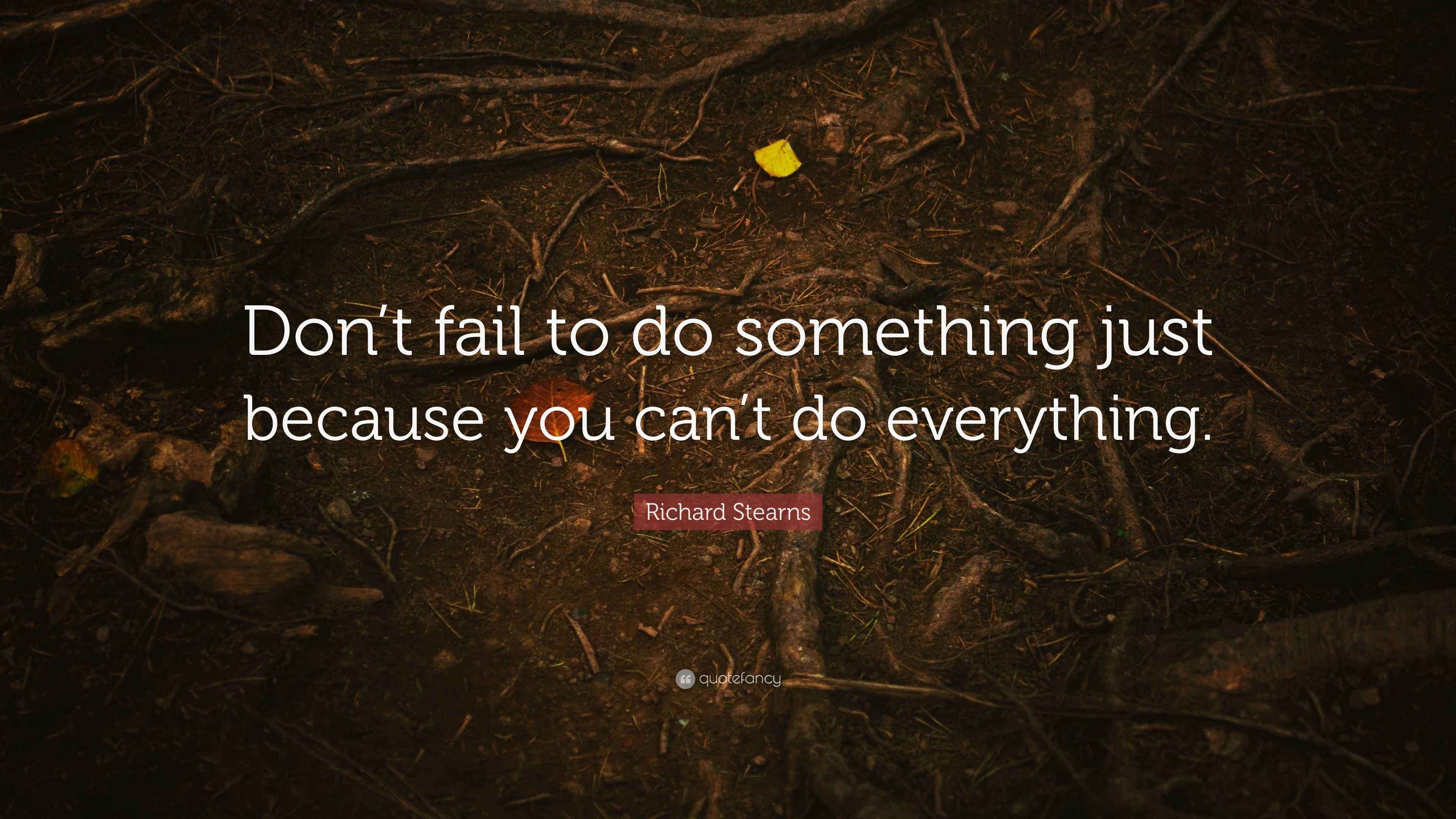Richard Stearns Quote: “Don’t fail to do something just because you can ...