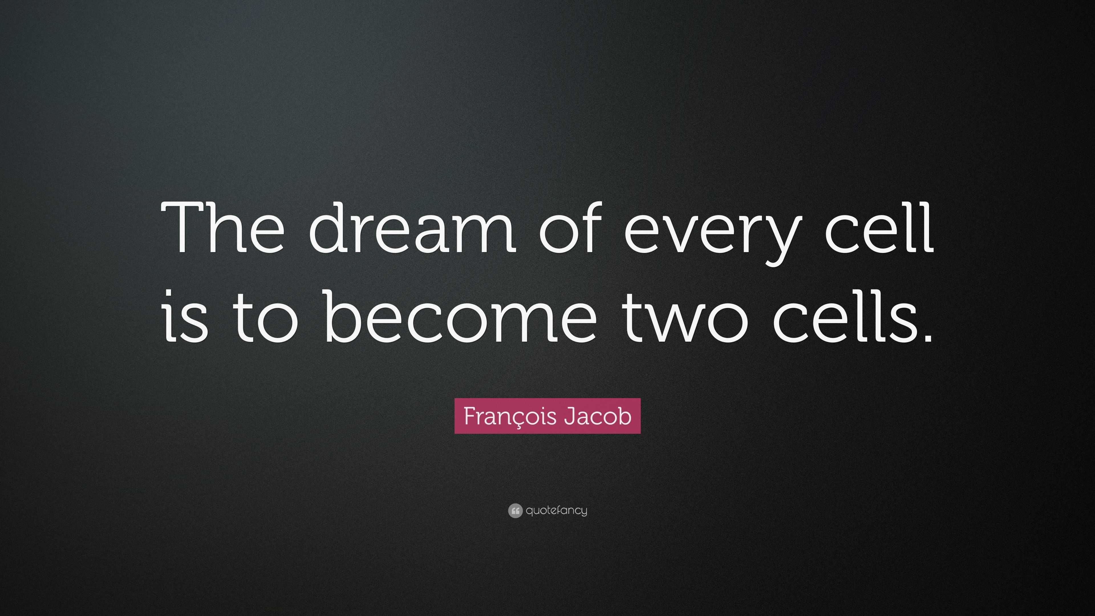 François Jacob Quote: “The dream of every cell is to become two cells.”