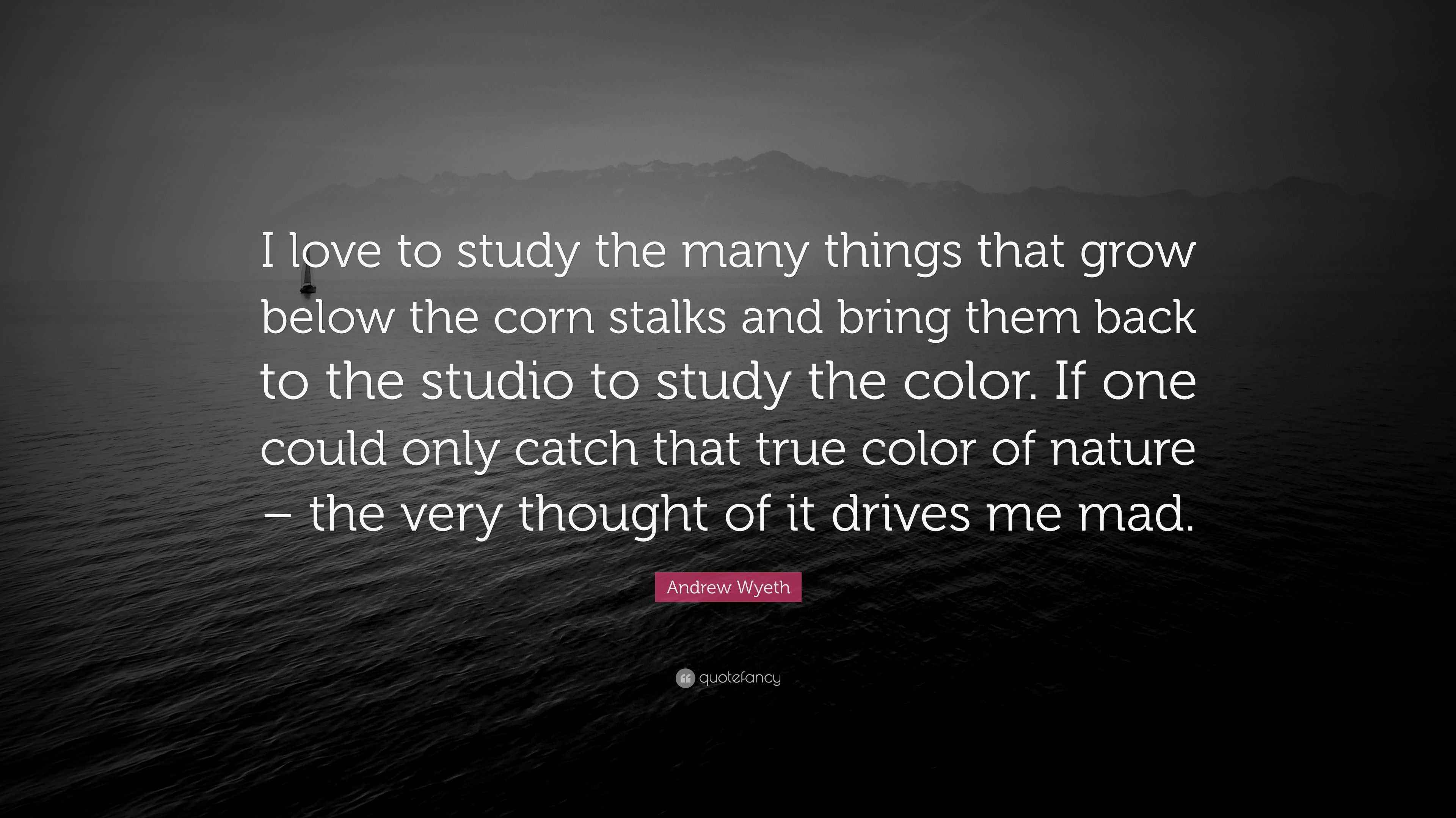 Andrew Wyeth Quote: “I love to study the many things that grow below ...