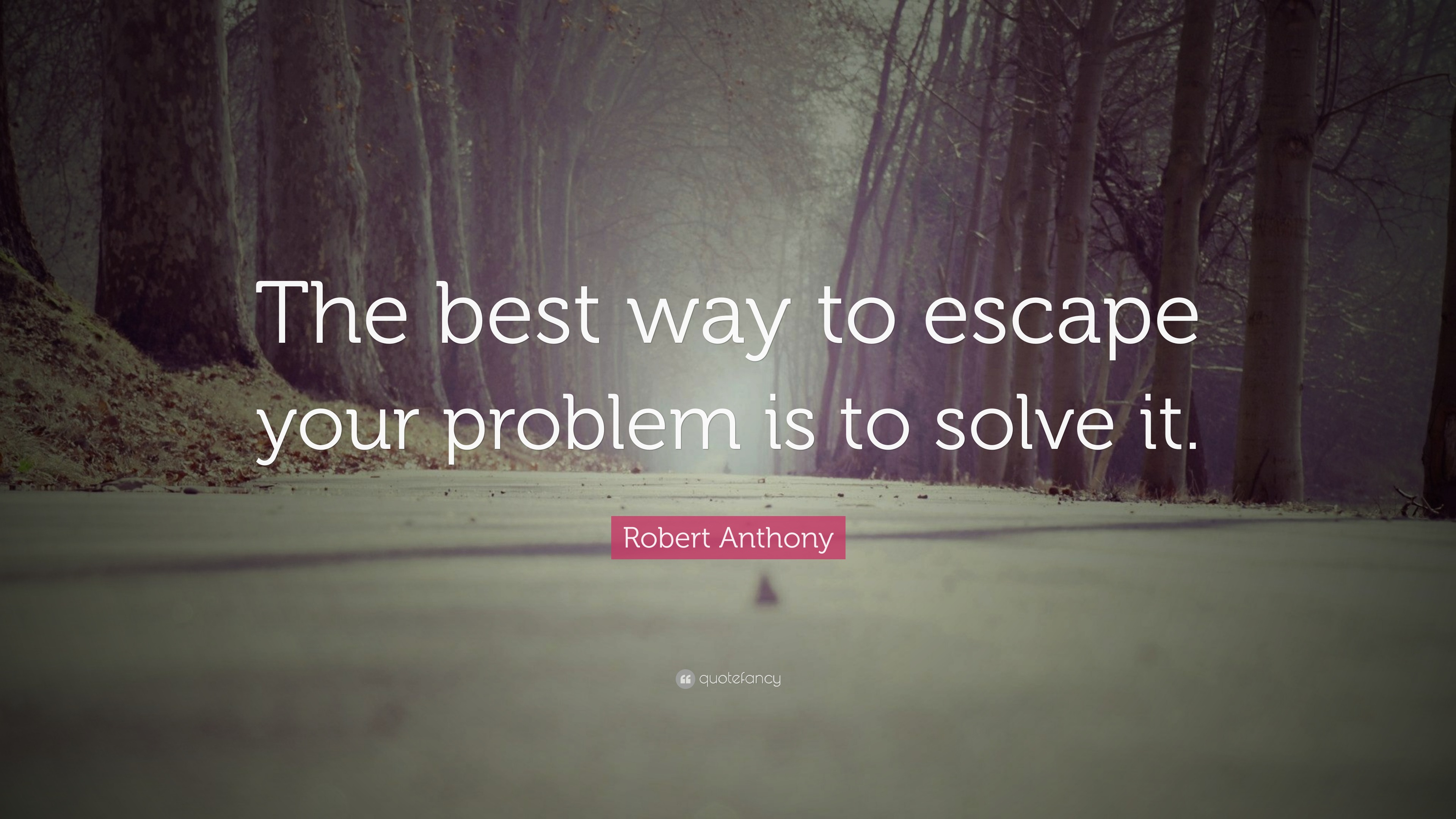 Robert Anthony Quote: “The best way to escape your problem is to solve it.”