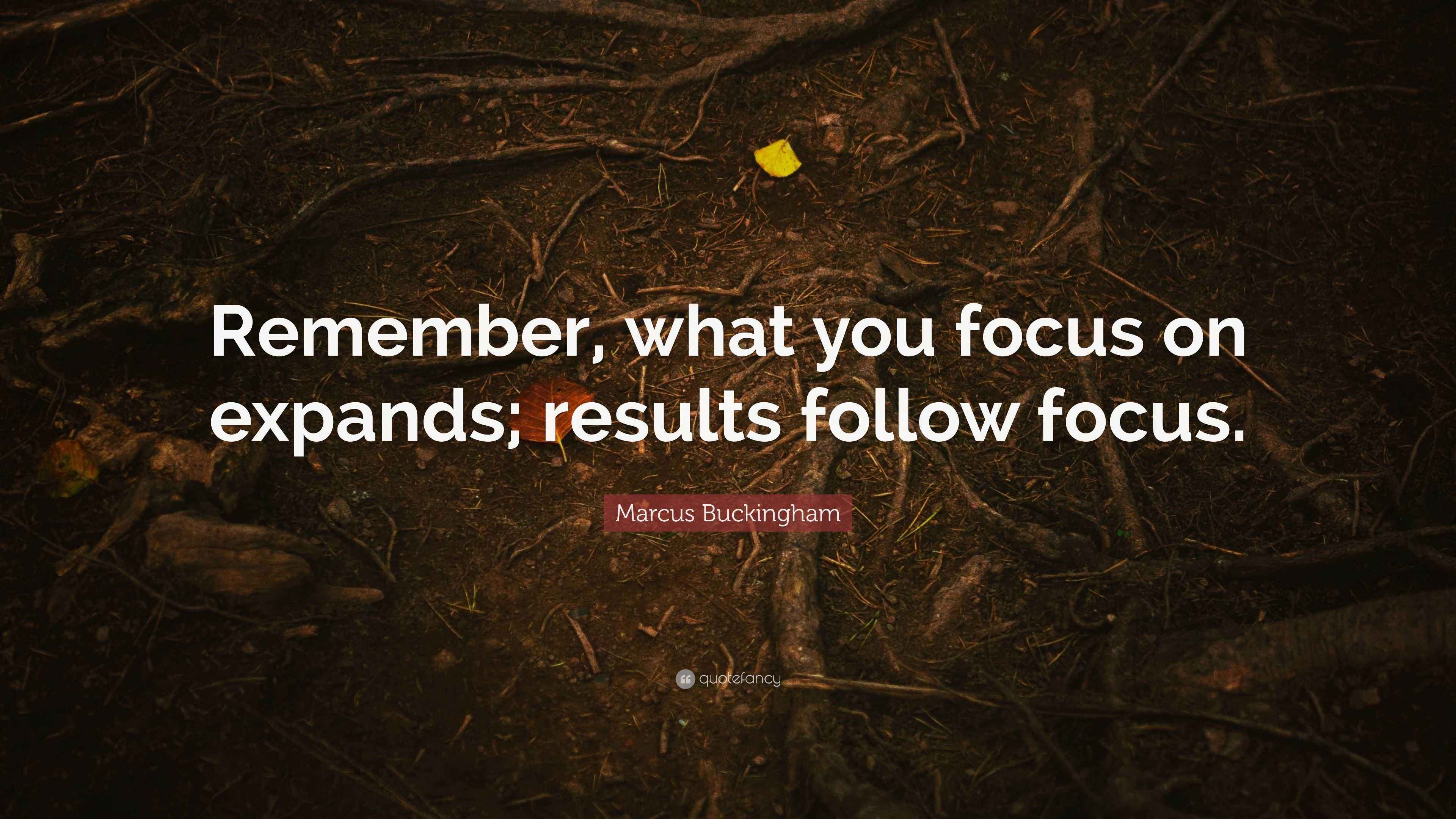 Marcus Buckingham Quote: “Remember, what you focus on expands; results ...