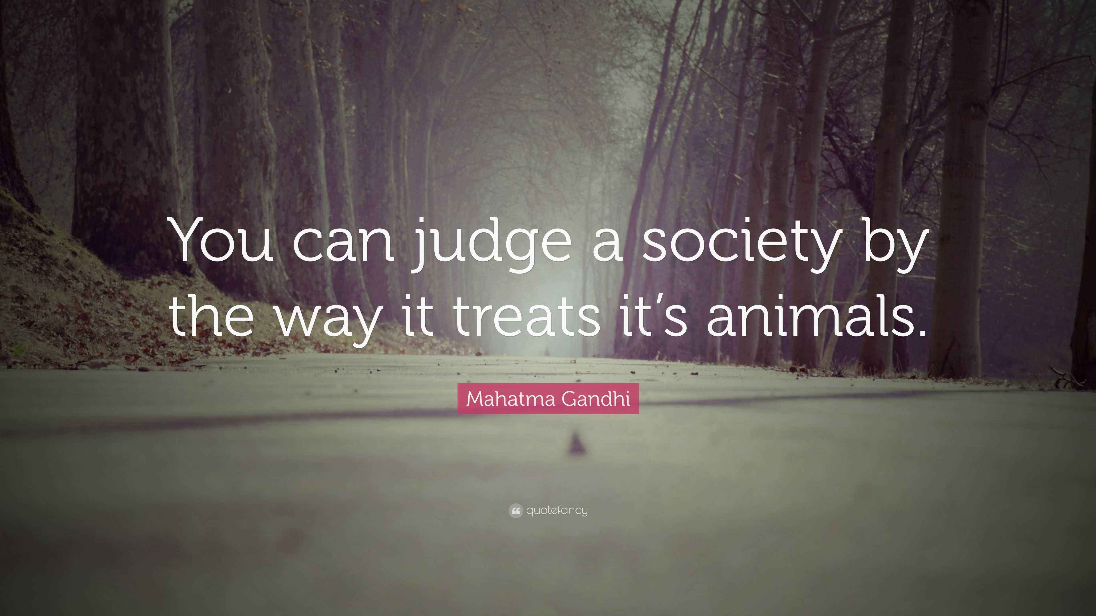 Mahatma Gandhi Quote: “You can judge a society by the way it treats it ...