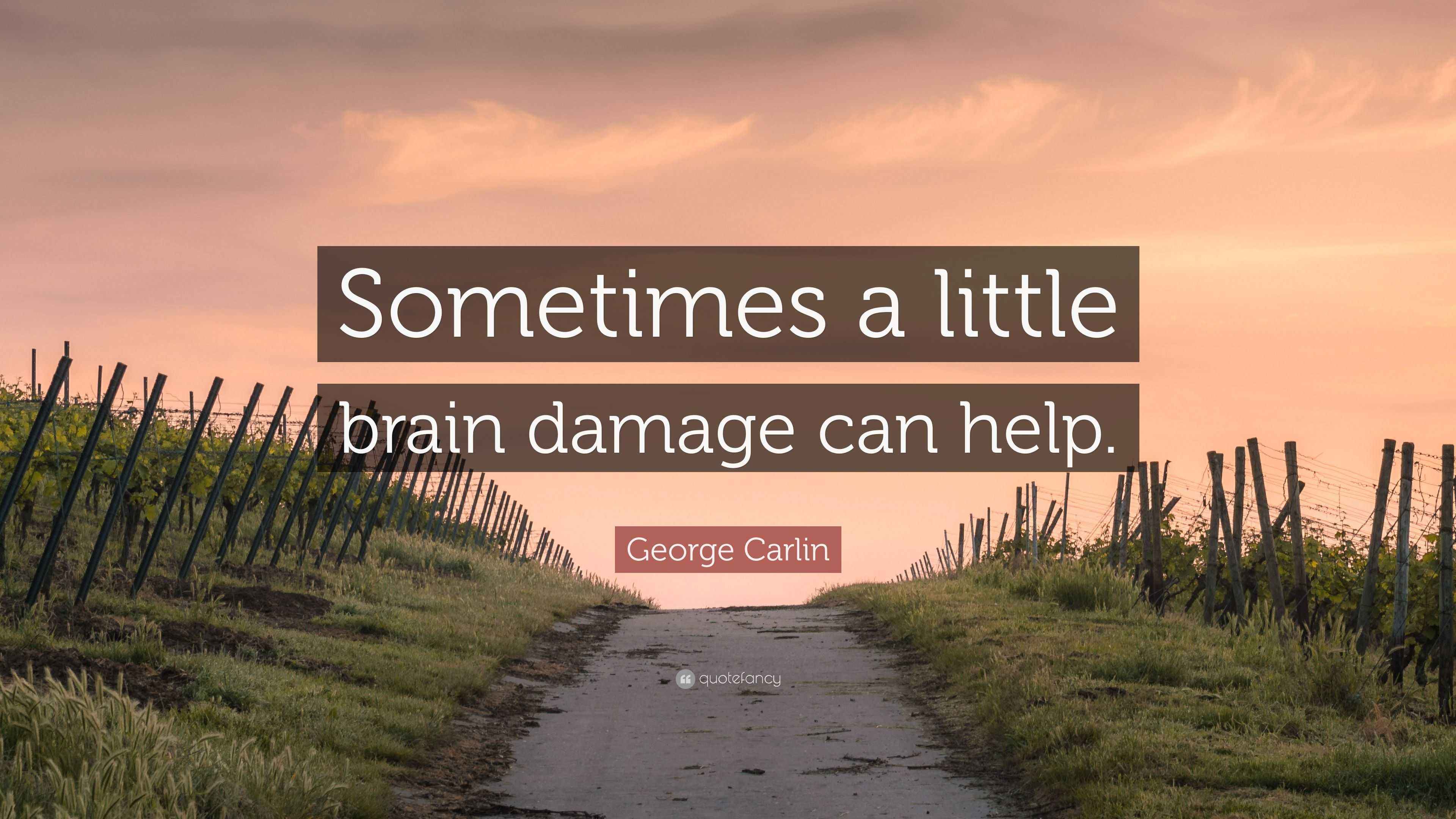 George Carlin Quote: “Sometimes a little brain damage can help.”