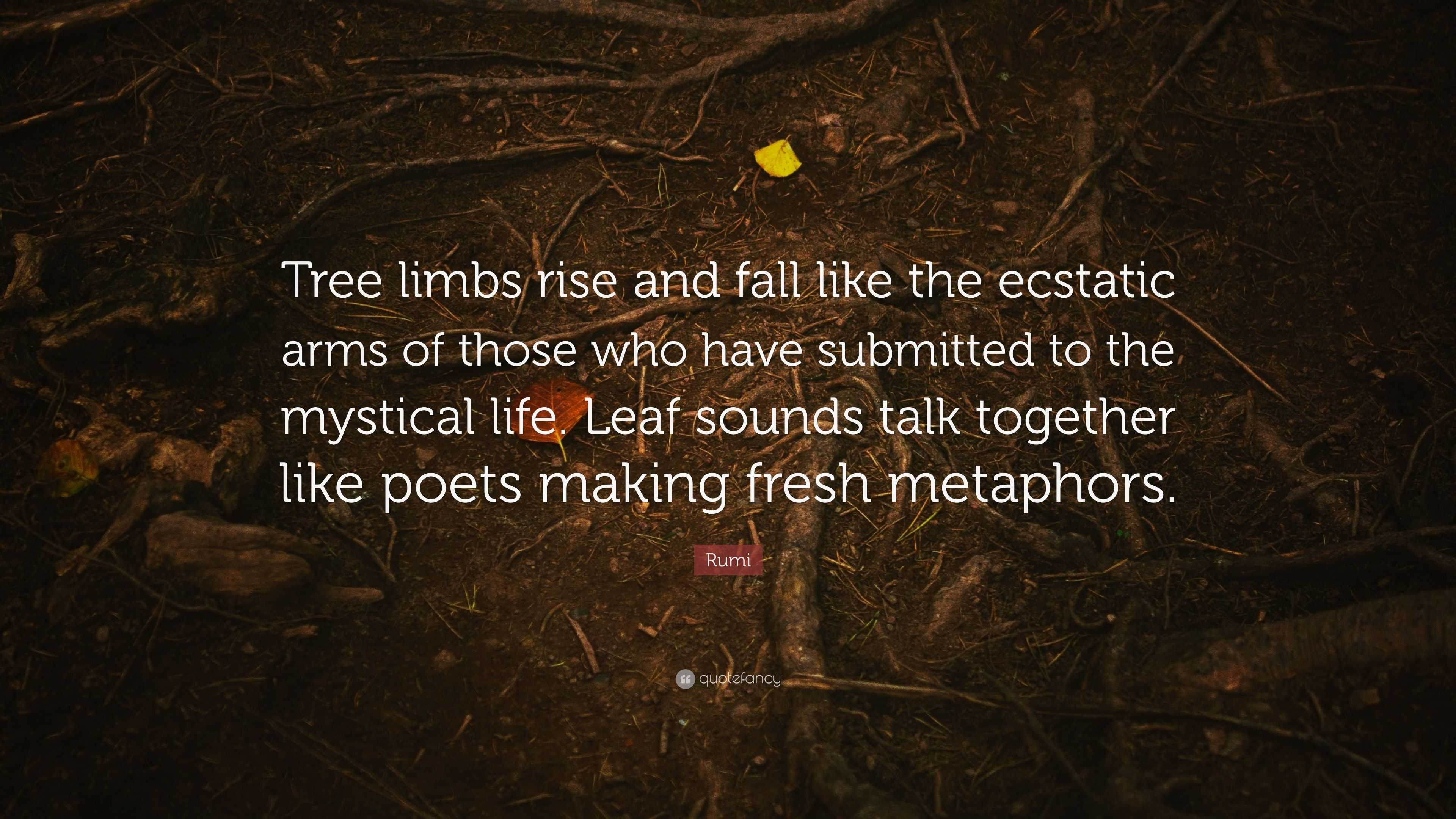 Rumi Quote: “Tree limbs rise and fall like the ecstatic arms of those ...