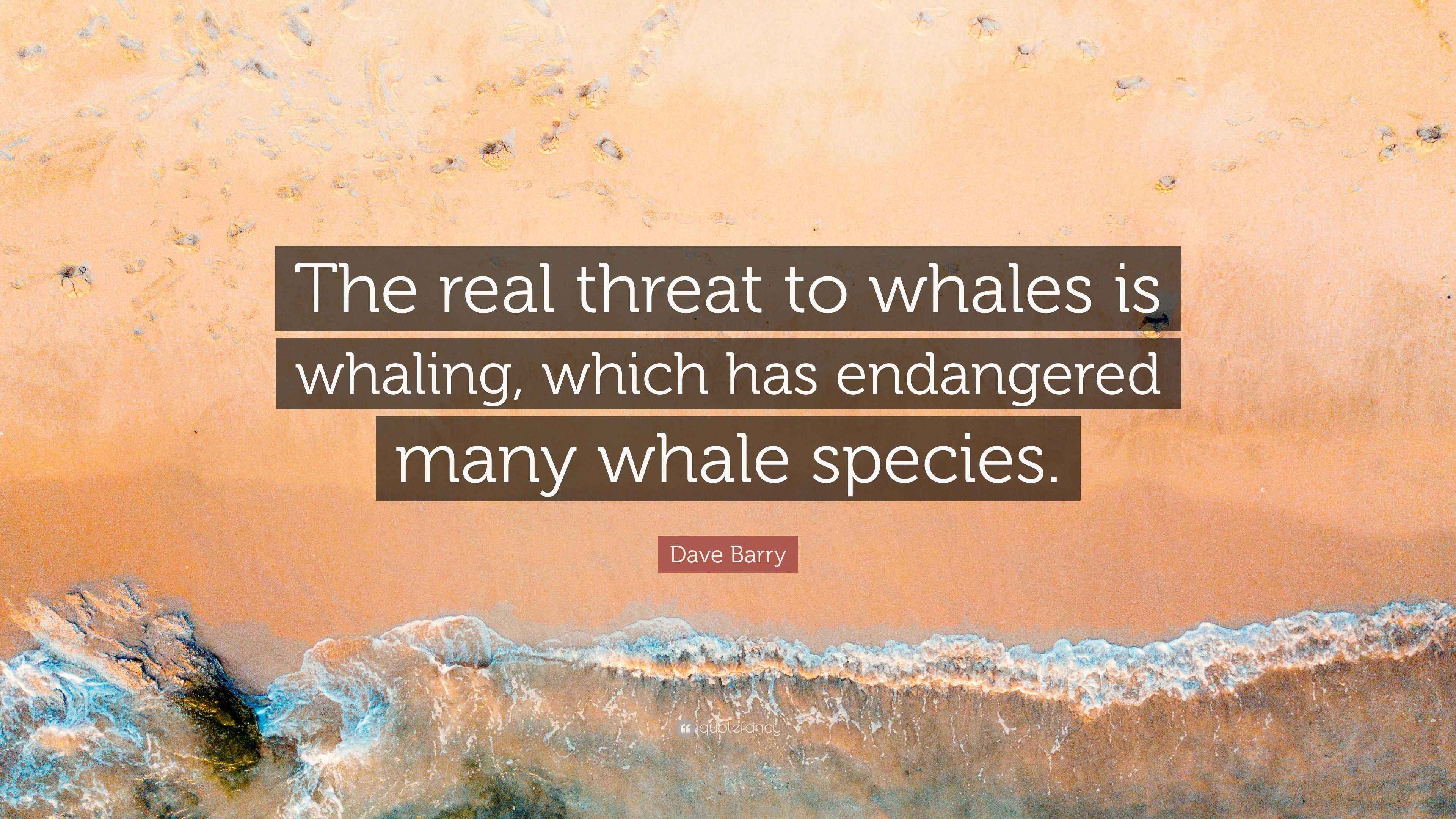 Dave Barry Quote: “The real threat to whales is whaling, which has ...