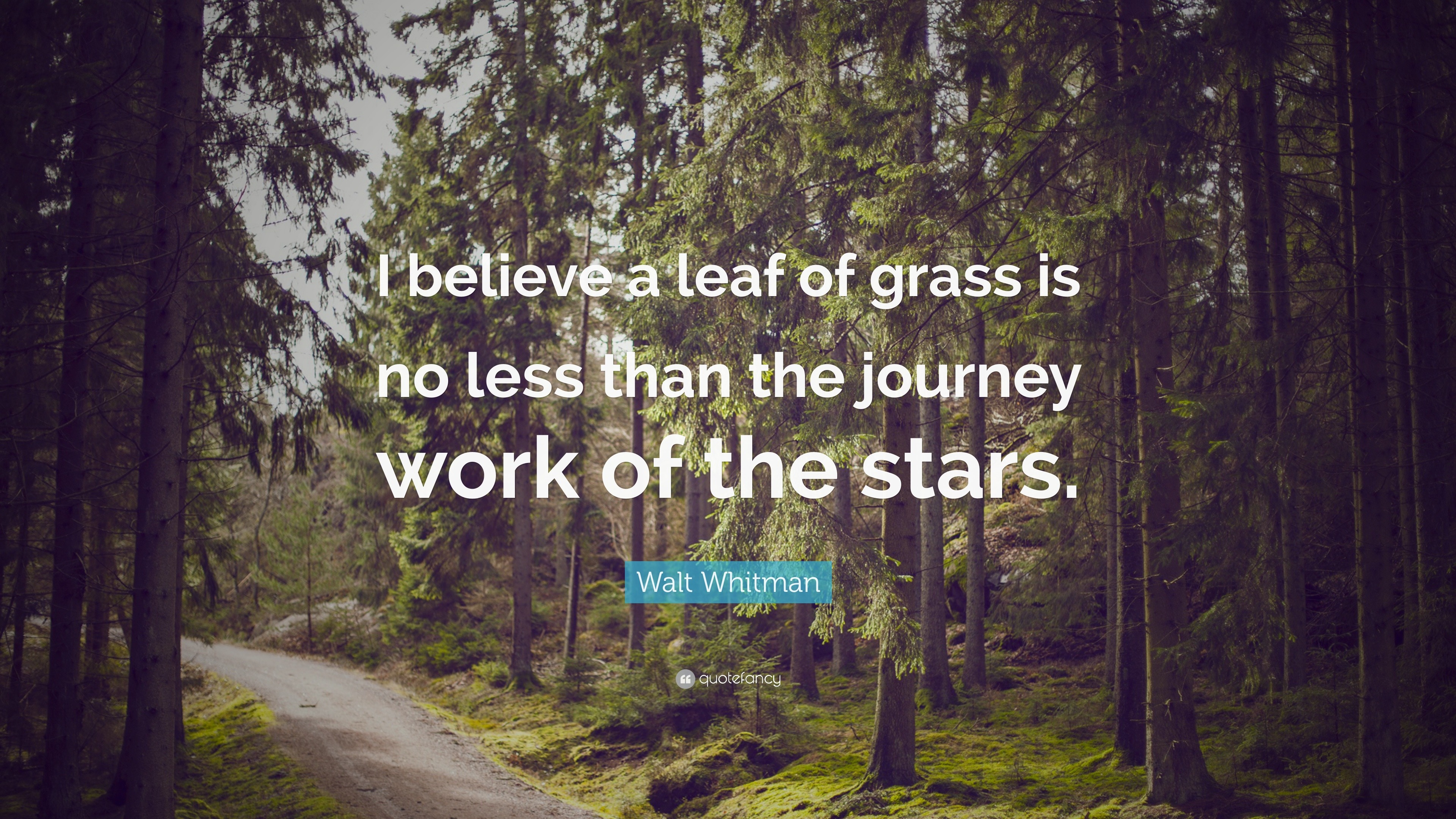 Walt Whitman Quote: “I believe a leaf of grass is no less than the ...