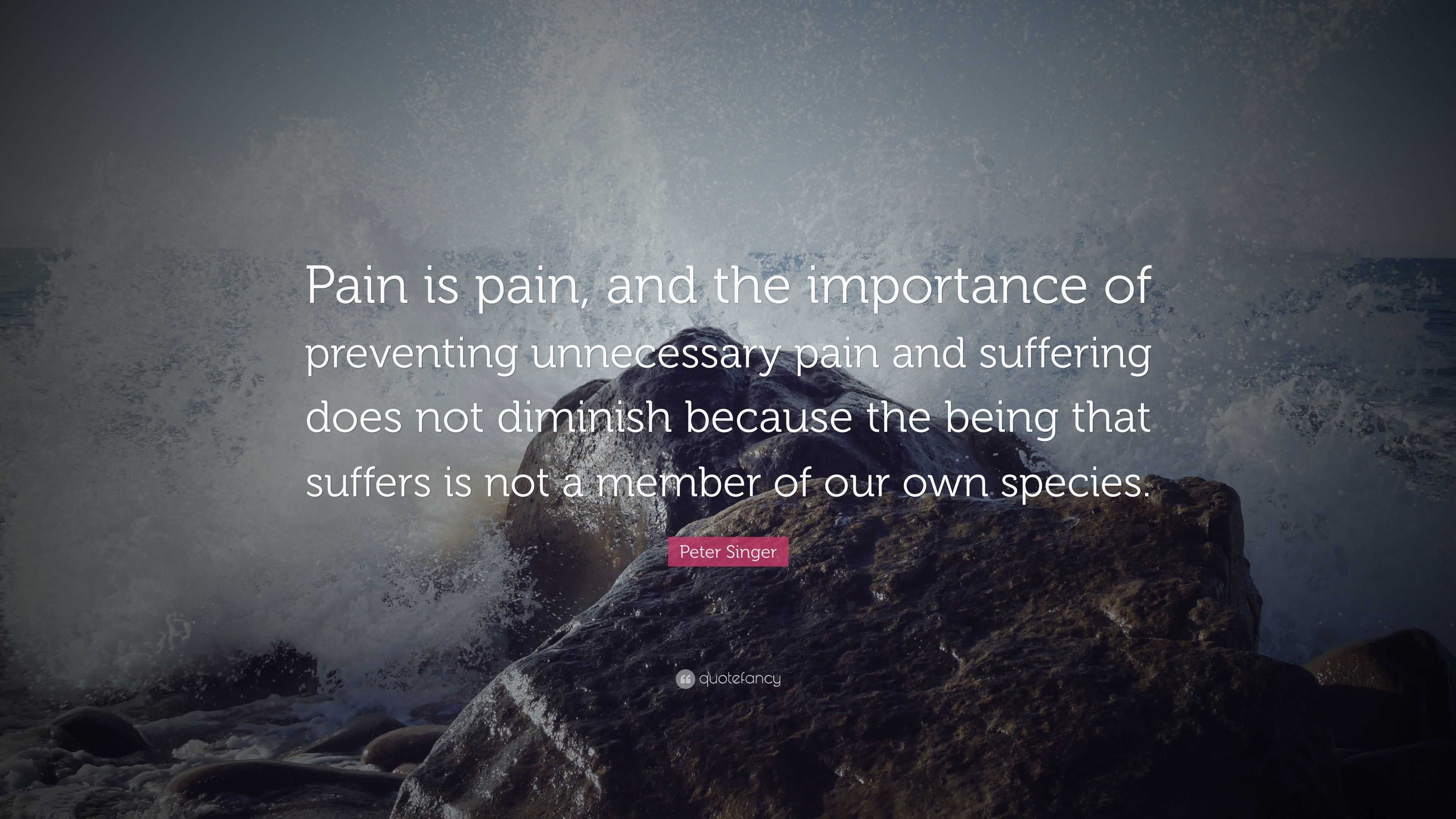 Peter Singer Quote: “Pain is pain, and the importance of preventing ...