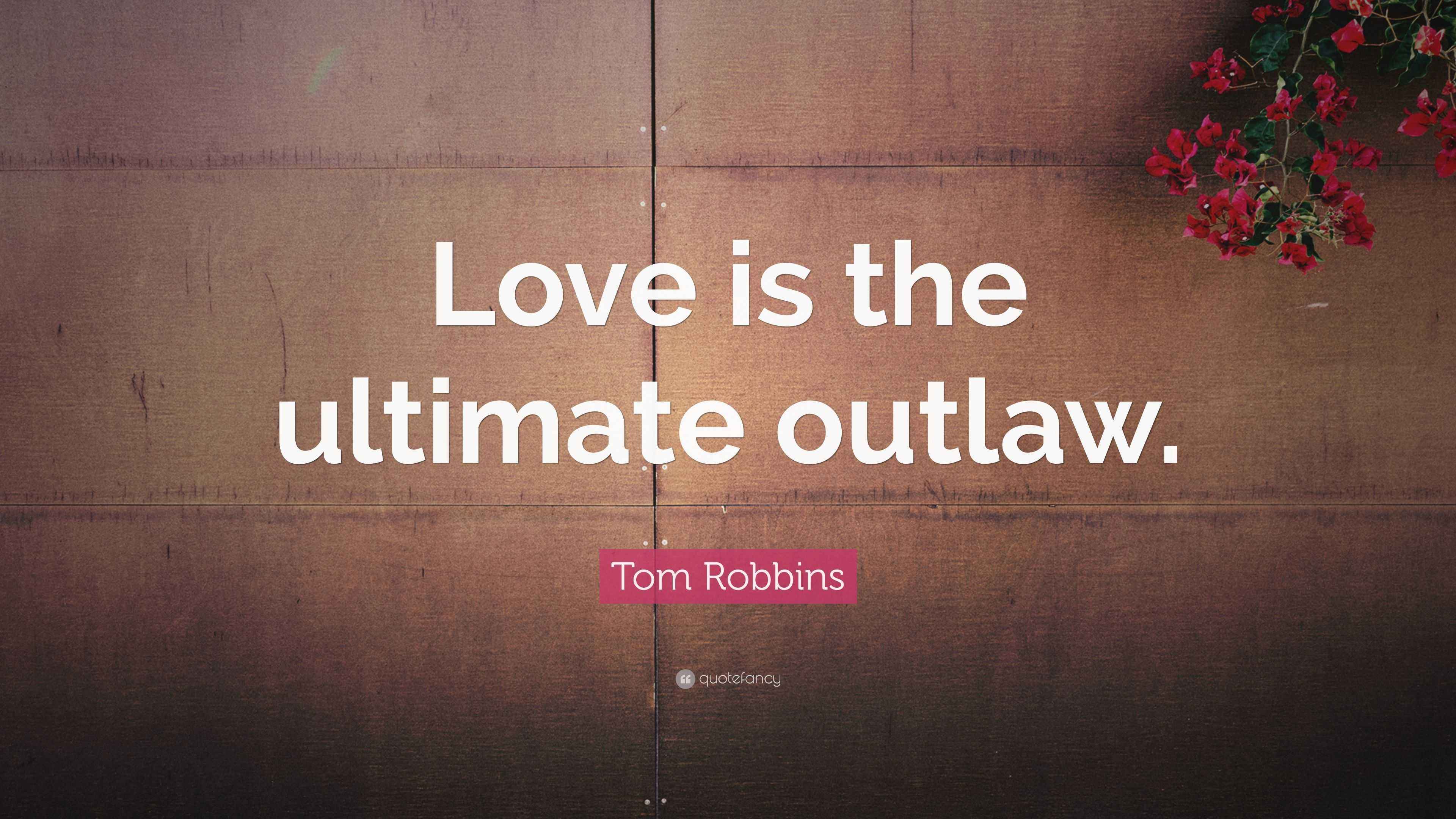 Tom Robbins Quote: “Love is the ultimate outlaw.”