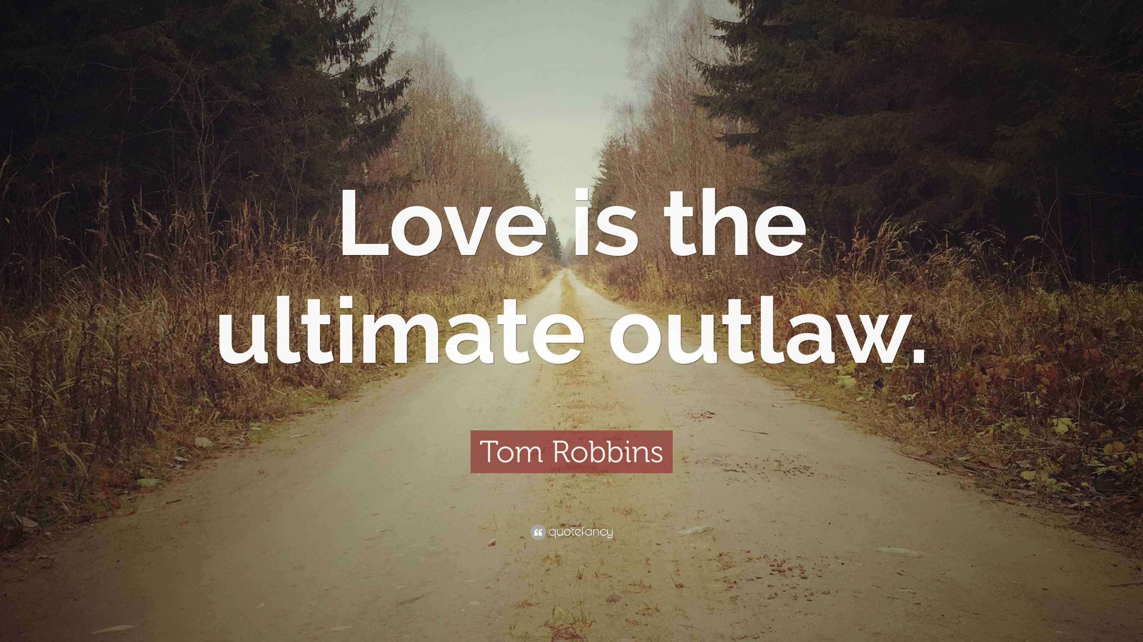 Tom Robbins Quote: “Love is the ultimate outlaw.”