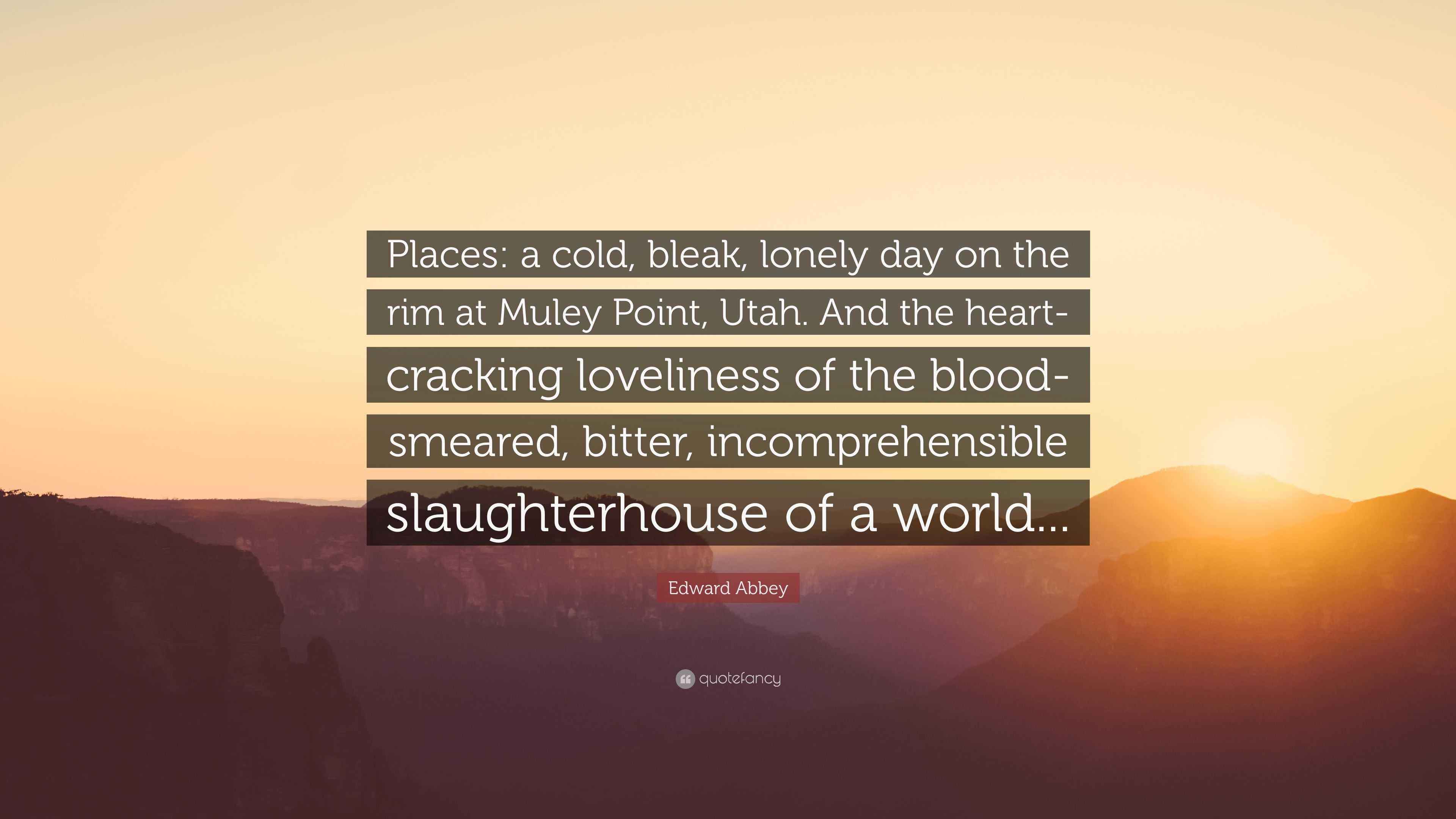 Edward Abbey Quote: “Places: a cold, bleak, lonely day on the rim at ...