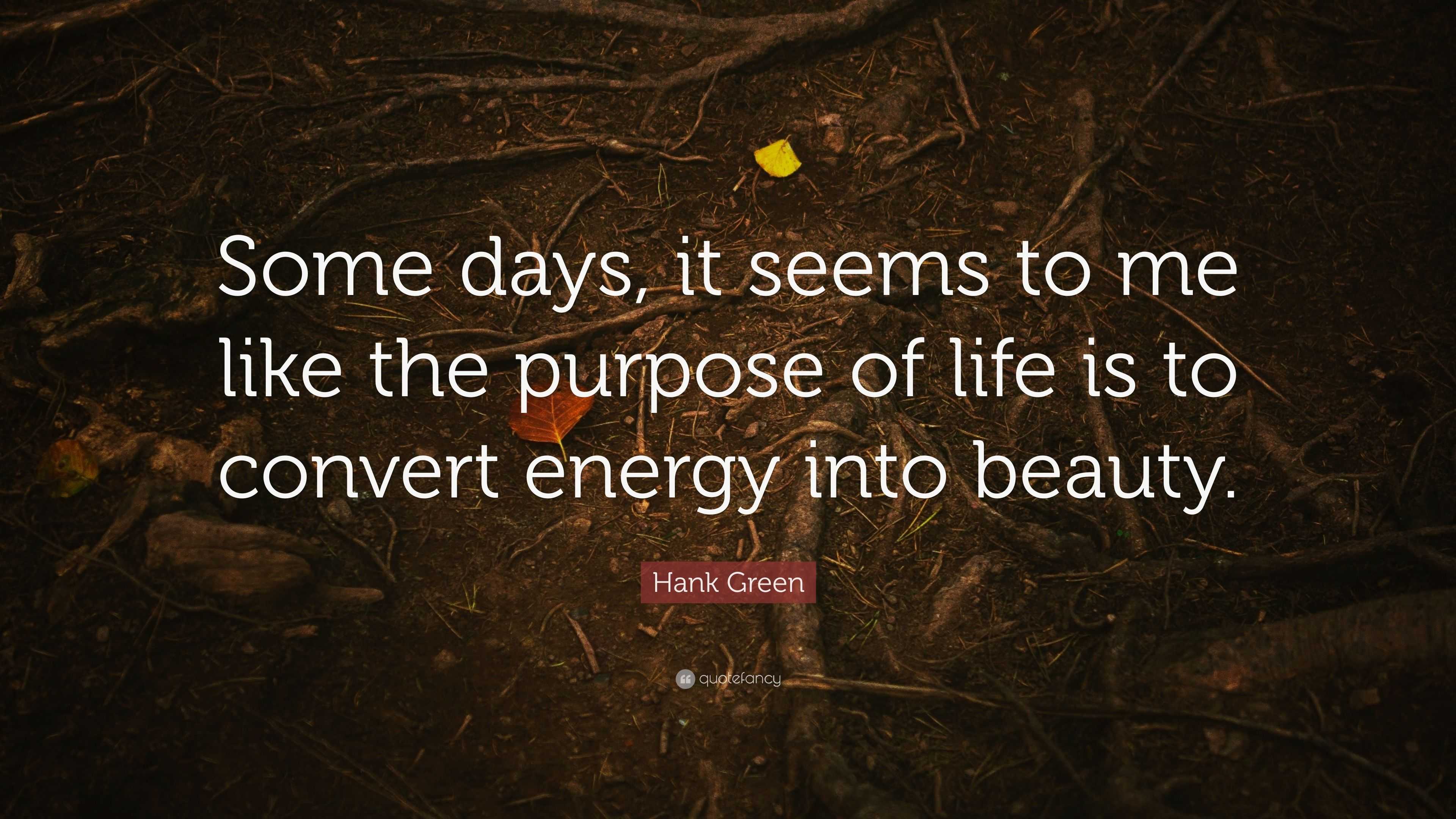 Hank Green Quote: “Some days, it seems to me like the purpose of life ...