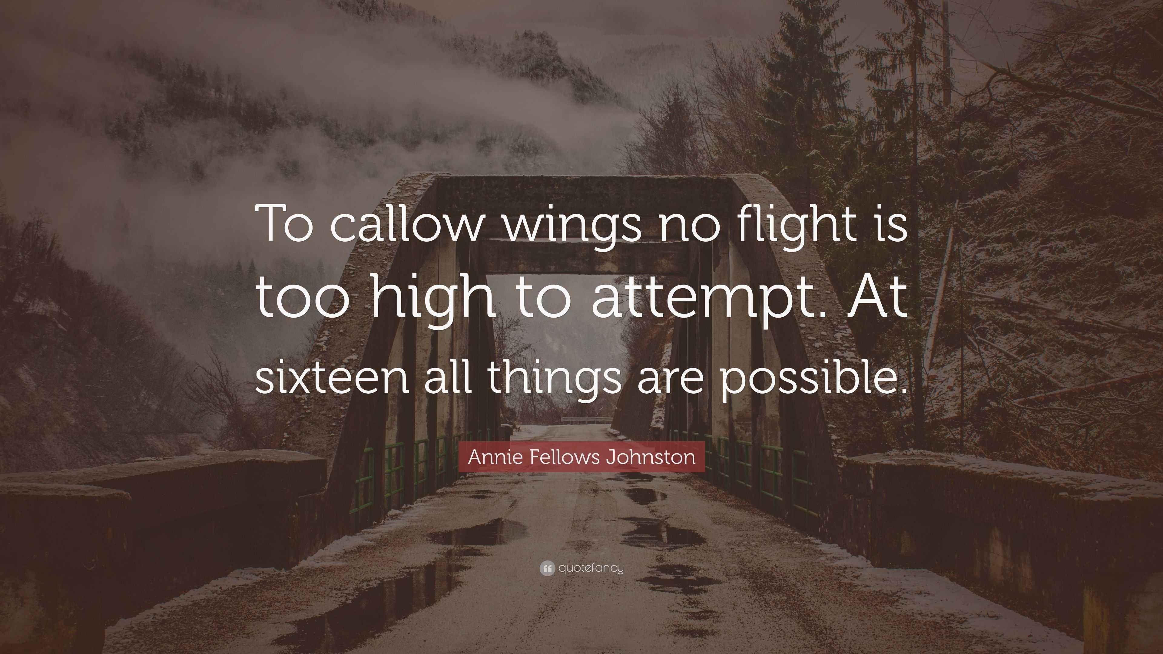 Annie Fellows Johnston Quote: “To callow wings no flight is too high to ...