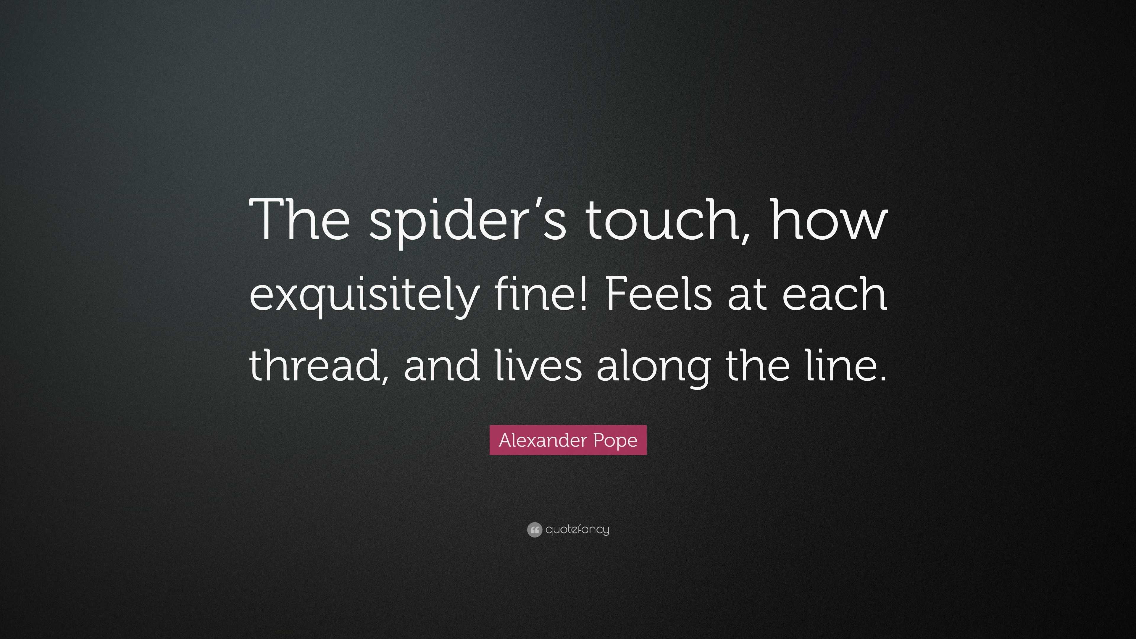 Alexander Pope Quote: “The spider’s touch, how exquisitely fine! Feels ...