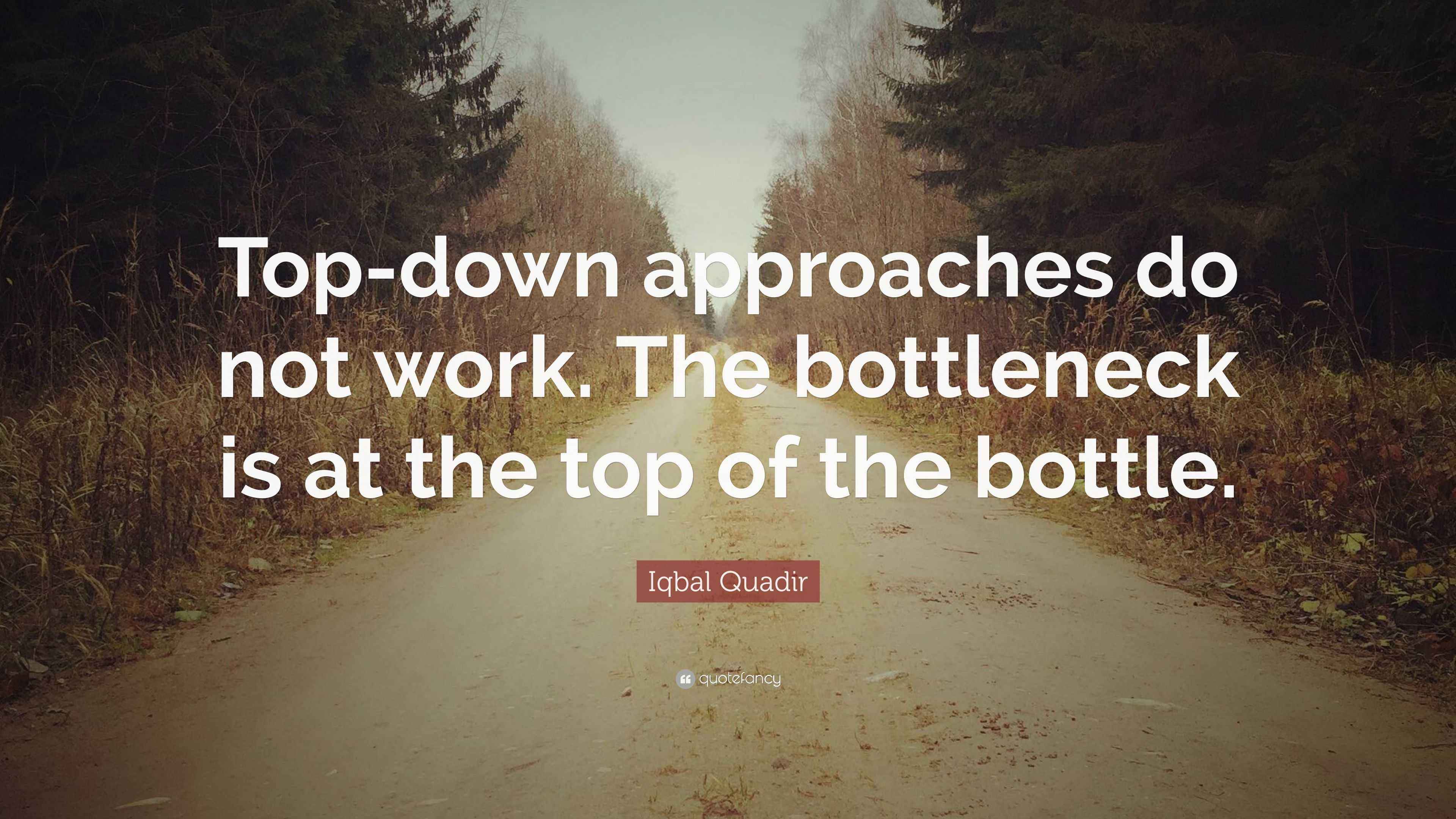 Iqbal Quadir Quote: “Top-down approaches do not work. The bottleneck is ...