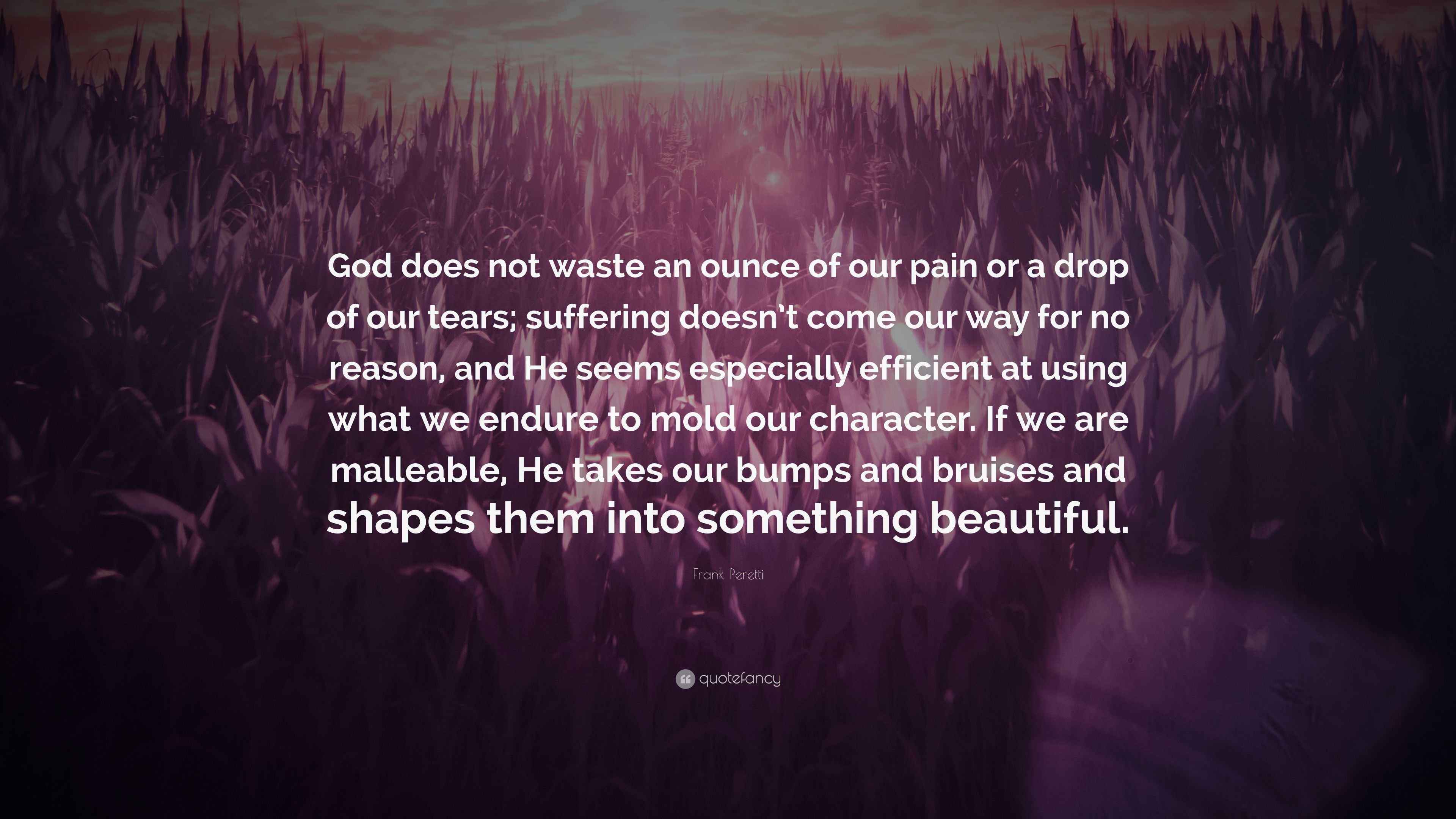 Frank Peretti Quote: “God does not waste an ounce of our pain or a drop ...