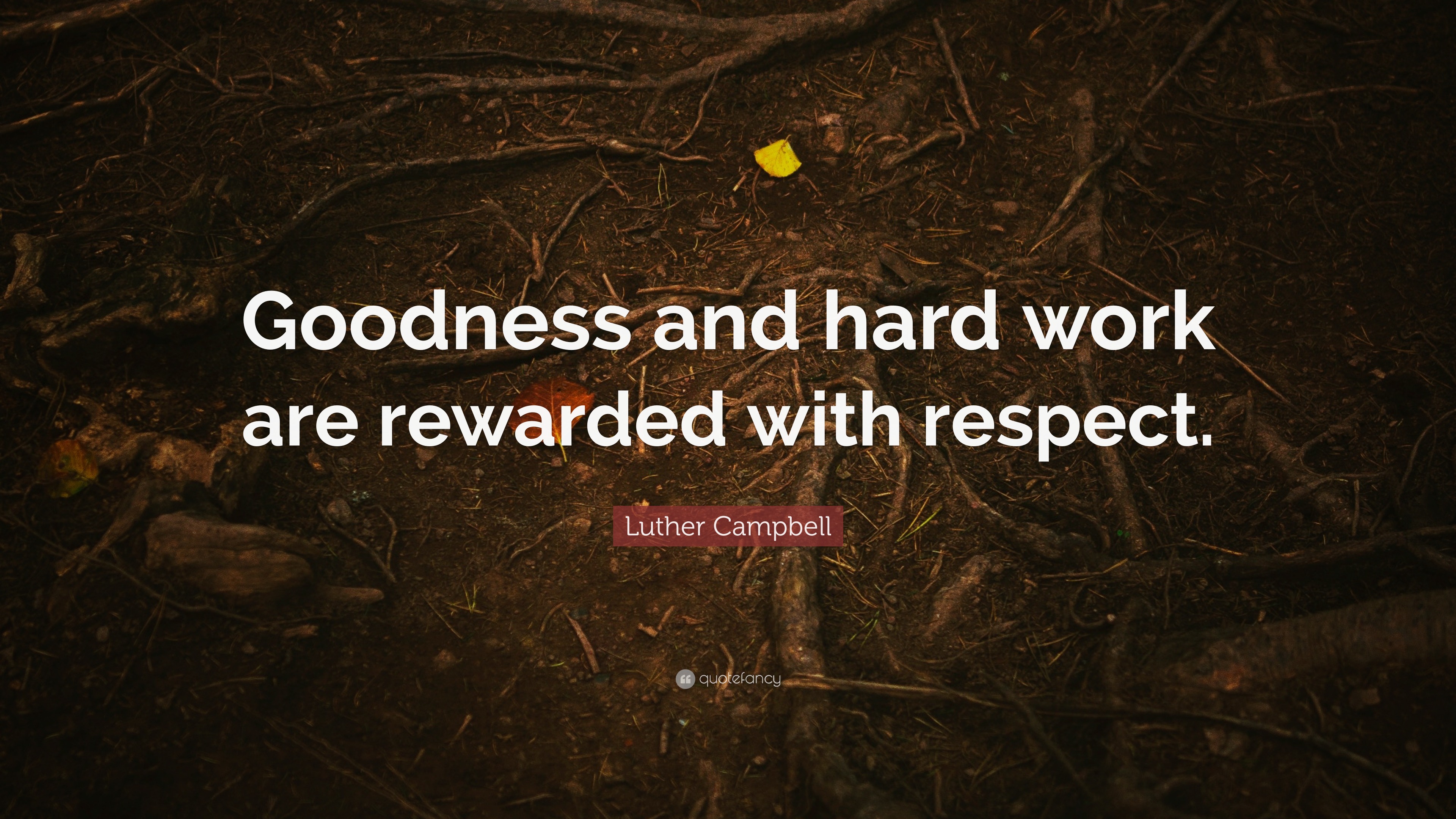 Luther Campbell Quote: “Goodness and hard work are rewarded with respect.”