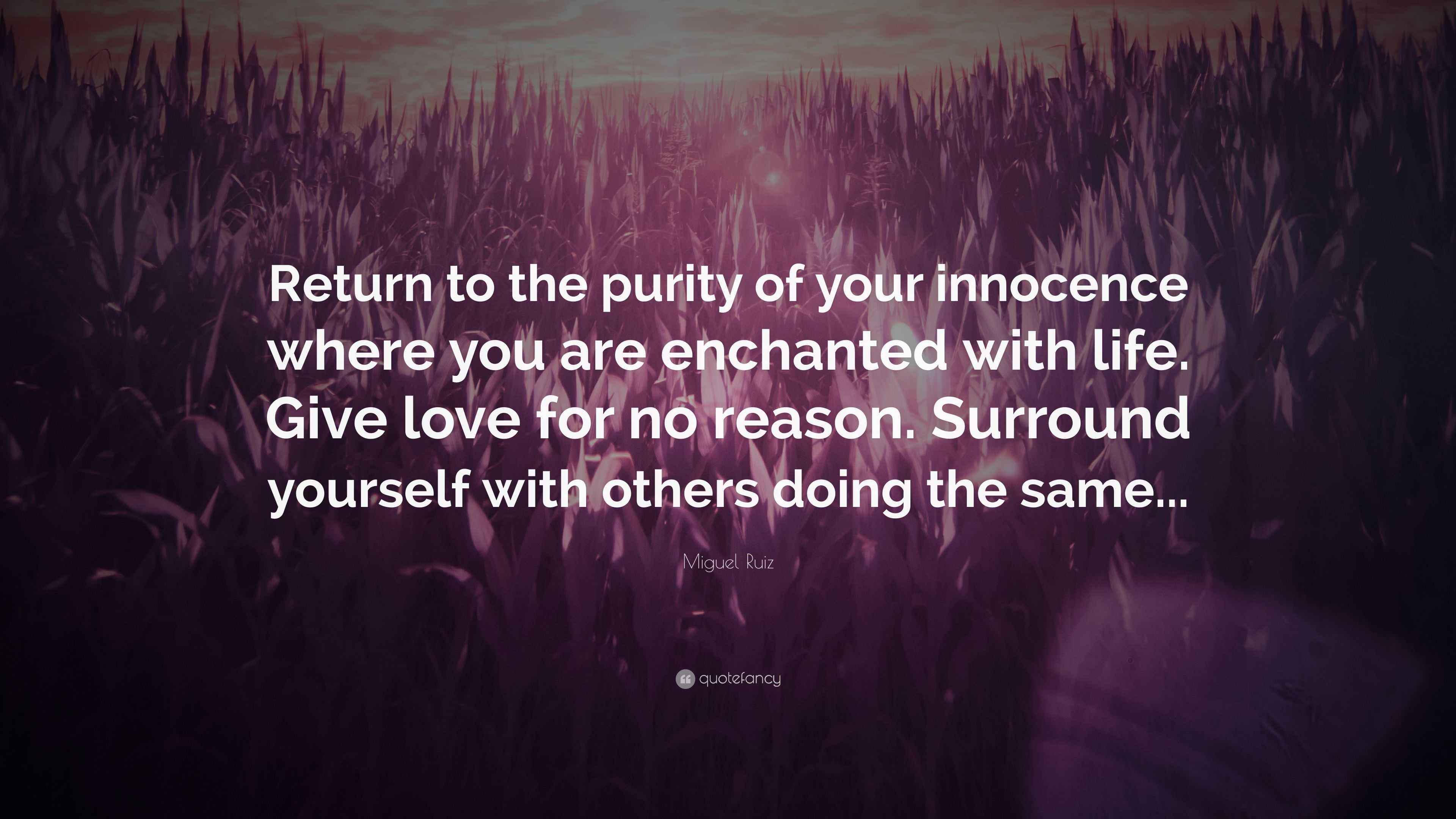 Miguel Ruiz Quote: “Return to the purity of your innocence where you ...