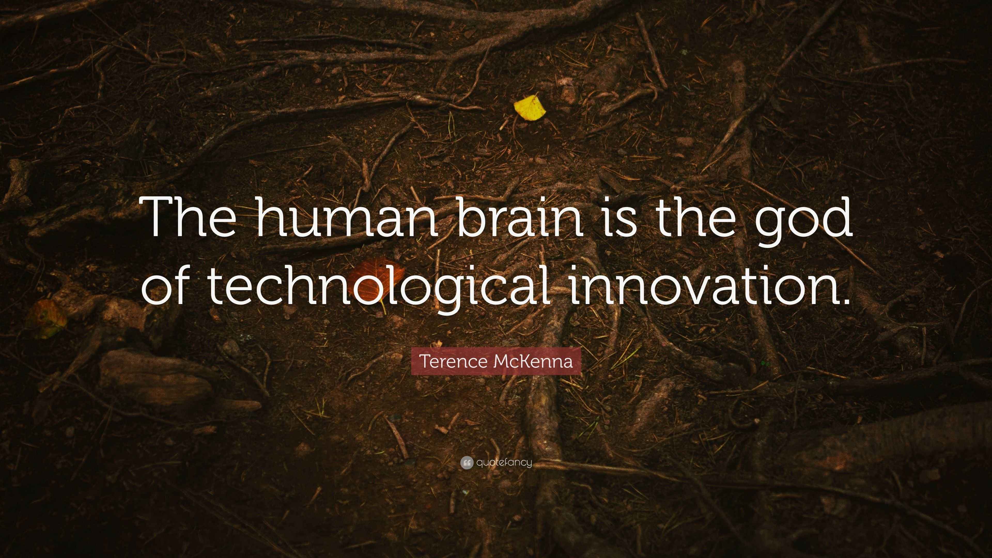 Terence McKenna Quote: “The human brain is the god of technological ...