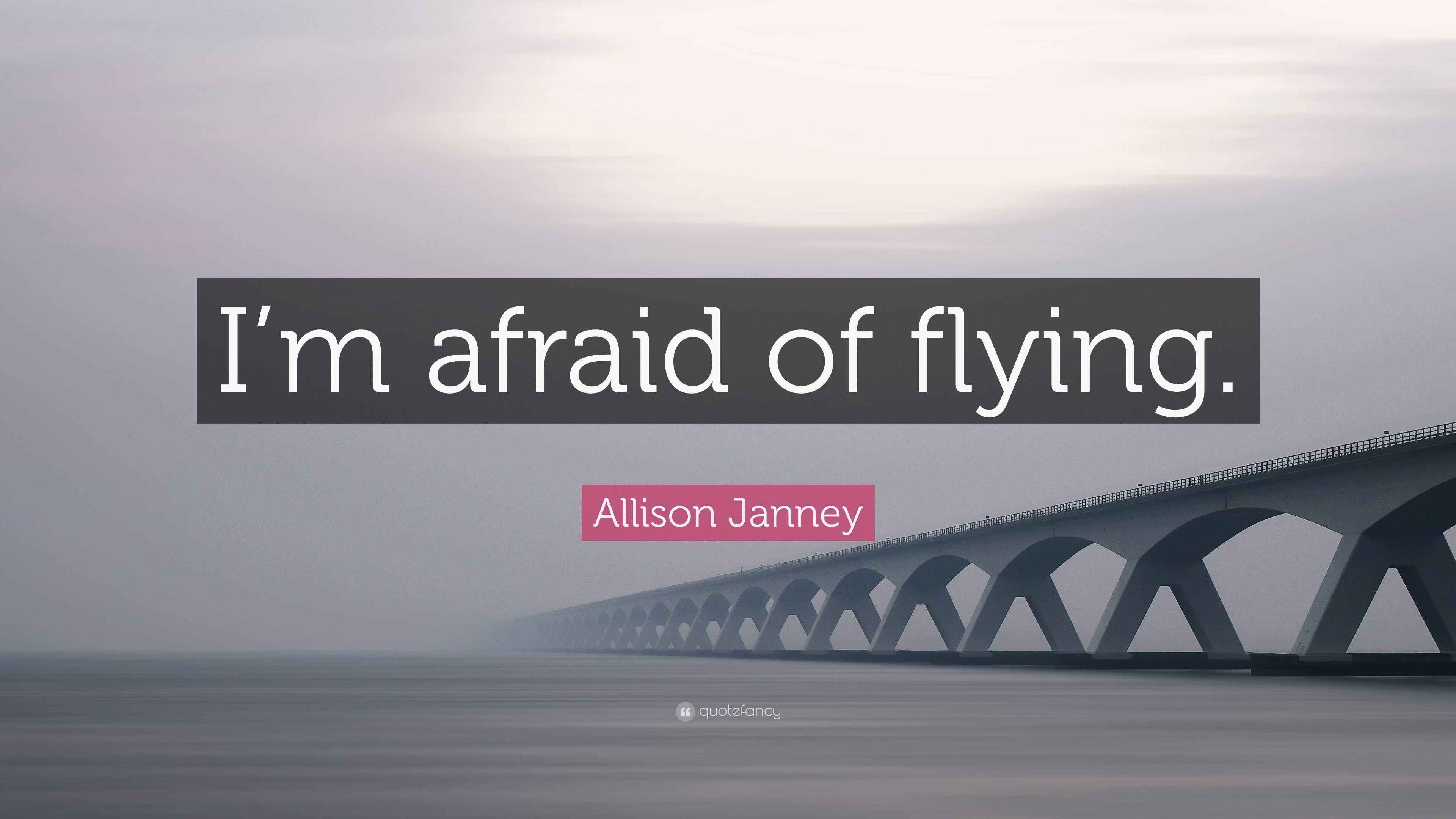 Allison Janney Quote: “I’m afraid of flying.”