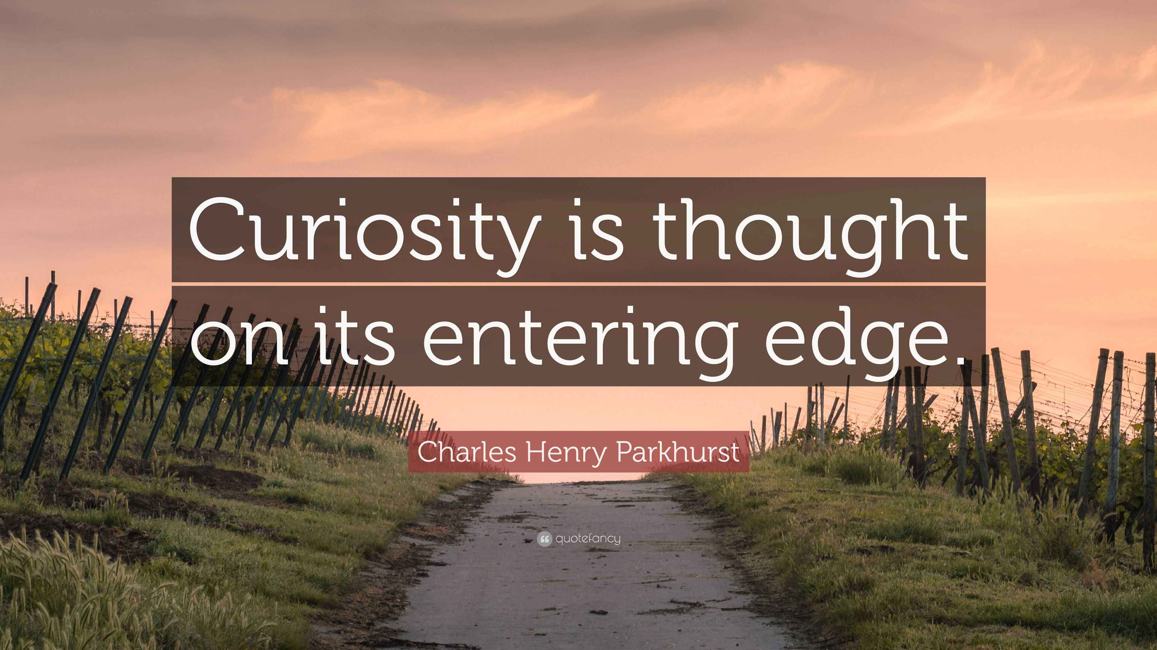 Charles Henry Parkhurst Quote: “Curiosity is thought on its entering edge.”