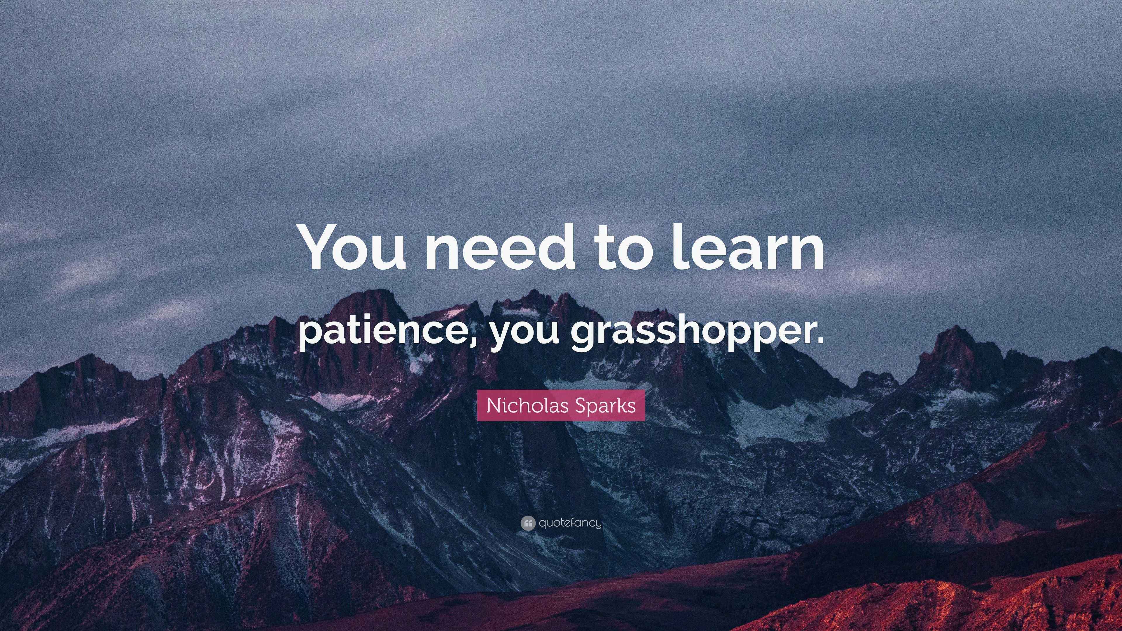 Nicholas Sparks Quote: “You need to learn patience, you grasshopper.”