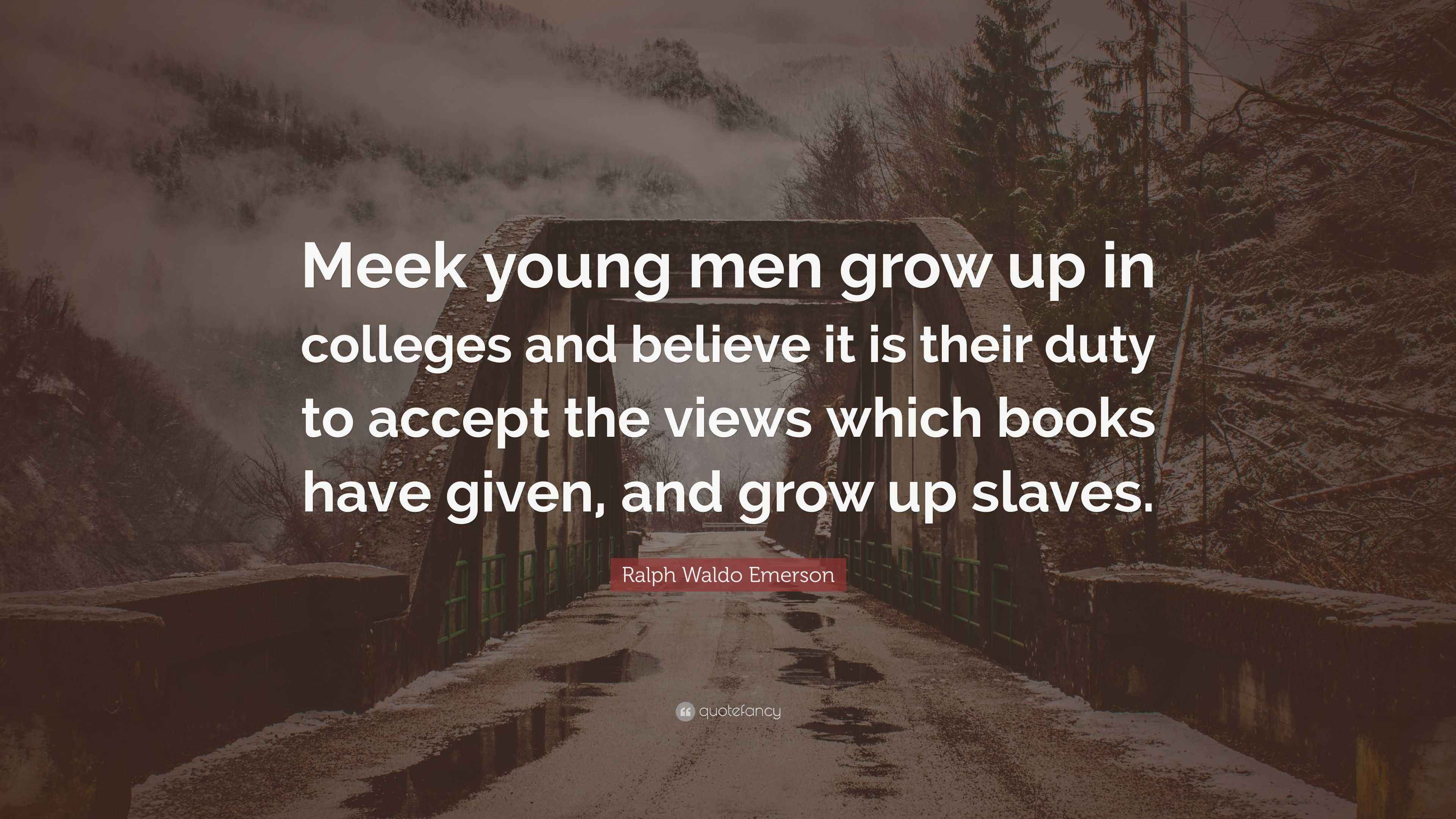 Ralph Waldo Emerson Quote: “Meek young men grow up in colleges and ...