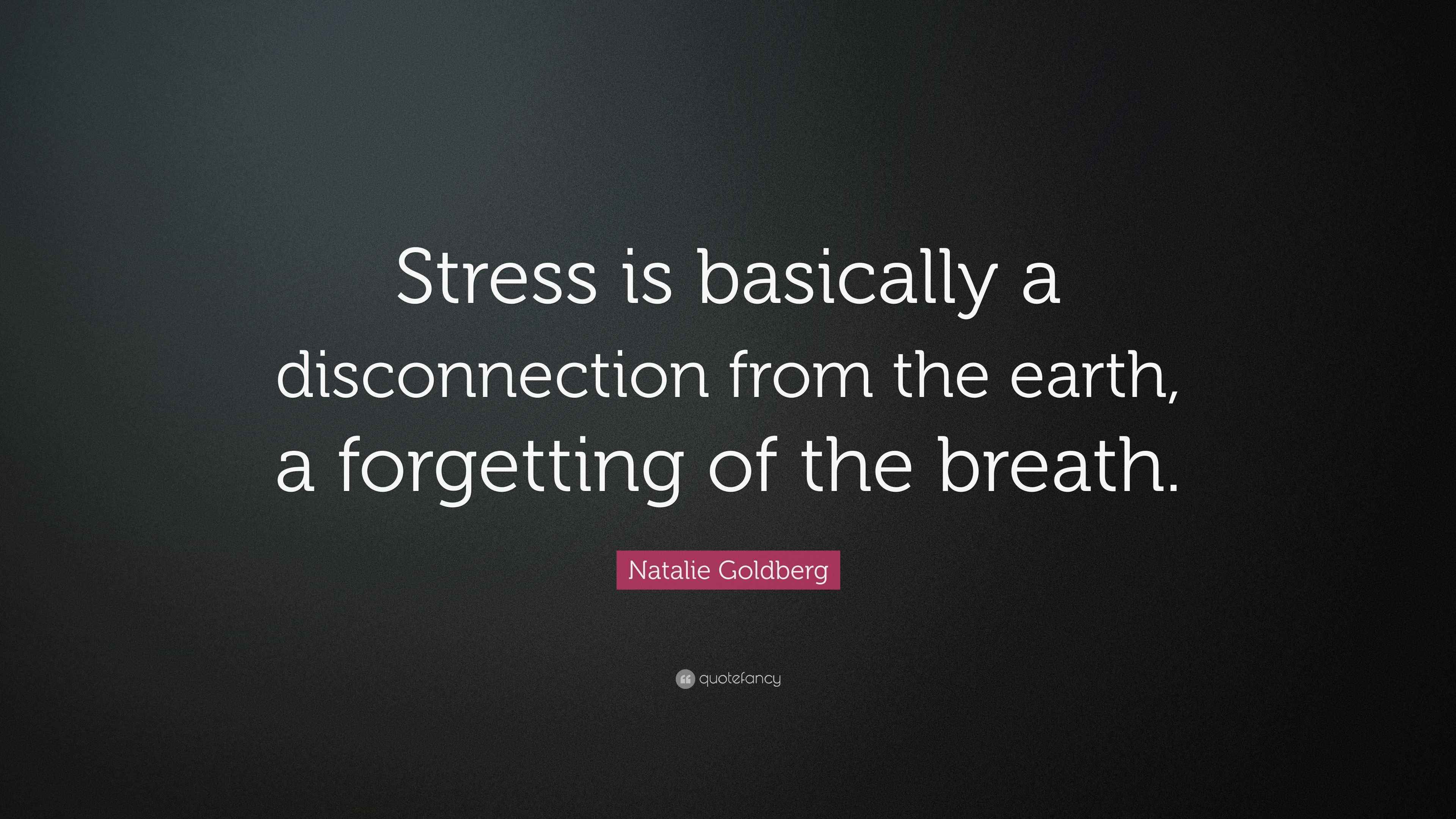 Natalie Goldberg Quote: “Stress is basically a disconnection from the ...