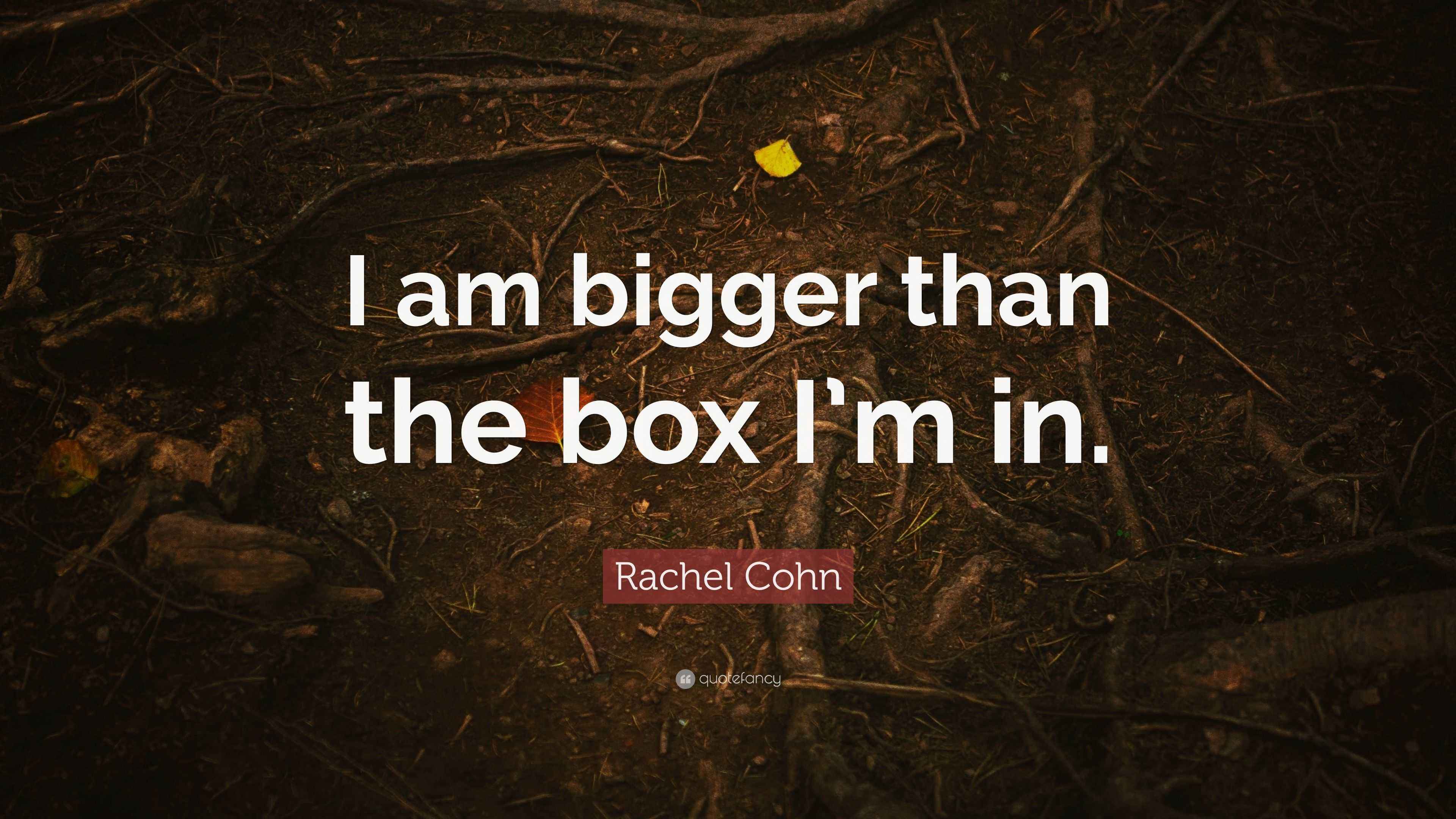 Rachel Cohn Quote: “I am bigger than the box I’m in.”