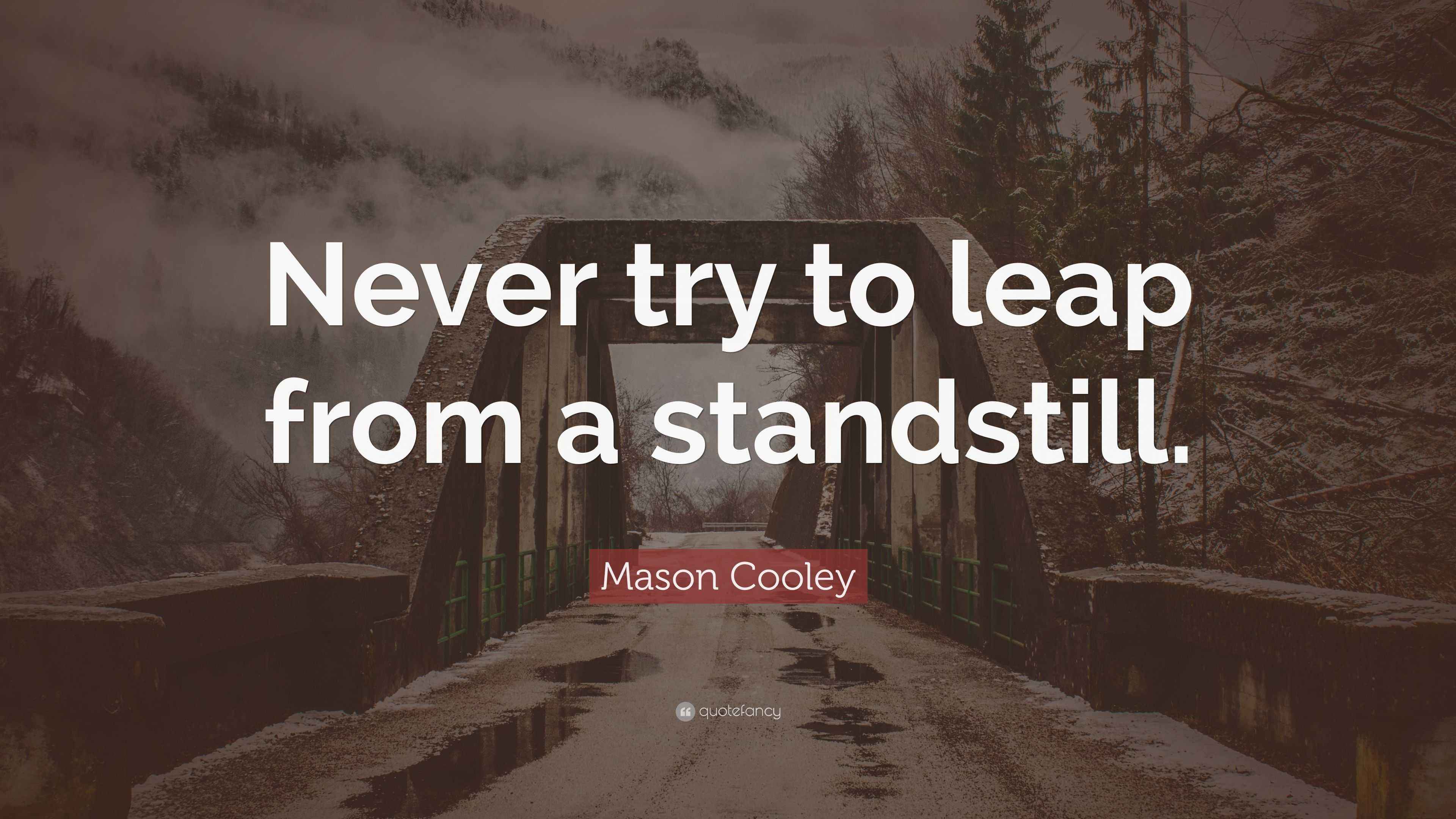 Mason Cooley Quote: “Never try to leap from a standstill.”