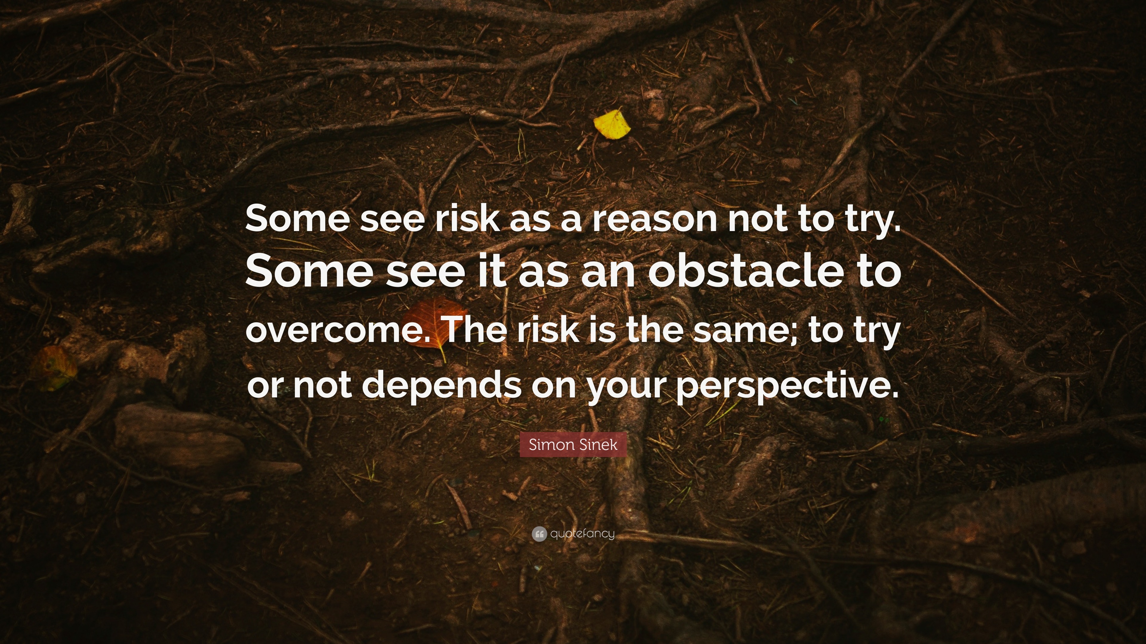Simon Sinek Quote: “Some see risk as a reason not to try. Some see it ...
