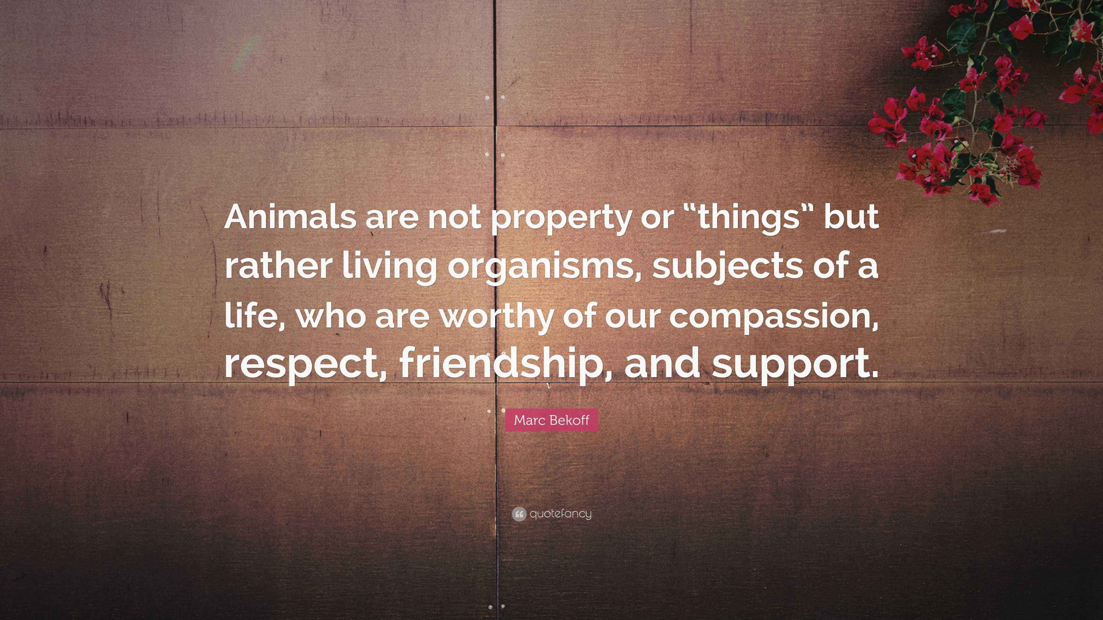 Marc Bekoff Quote: “Animals are not property or “things” but rather ...