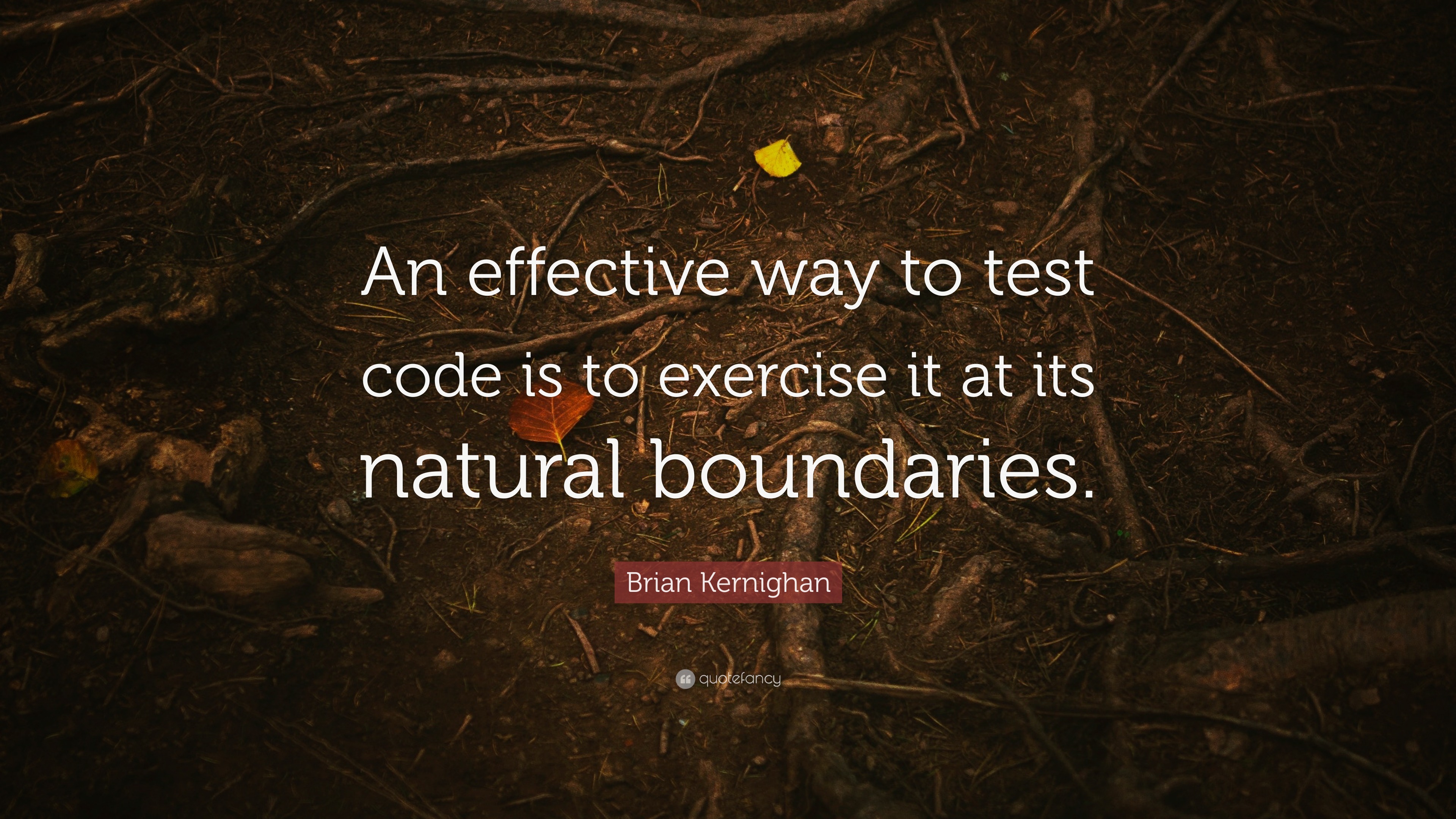 Brian Kernighan Quote: “An effective way to test code is to exercise it ...