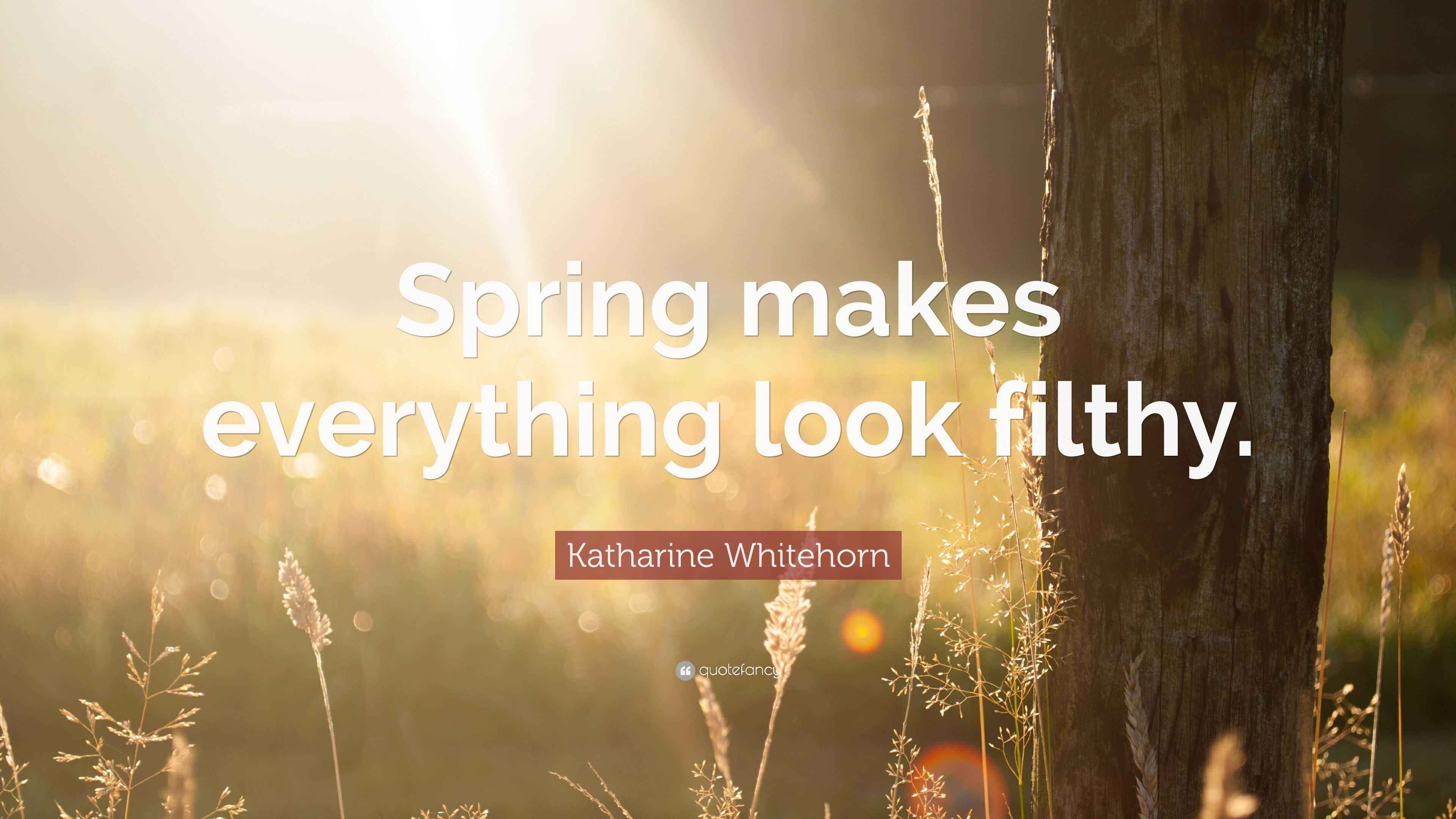 Katharine Whitehorn Quote: “Spring makes everything look filthy.”