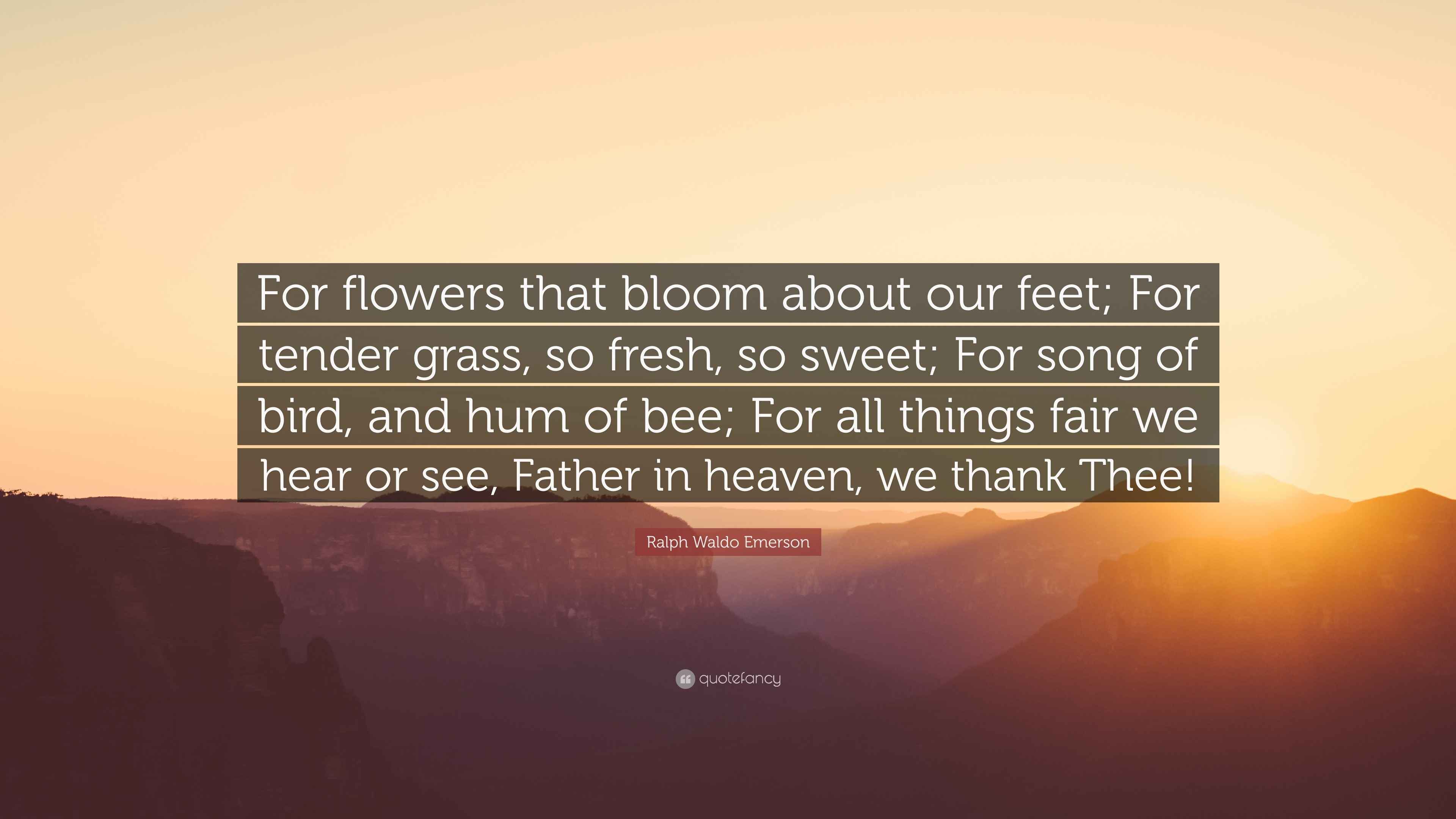 Ralph Waldo Emerson Quote: “For flowers that bloom about our feet; For ...