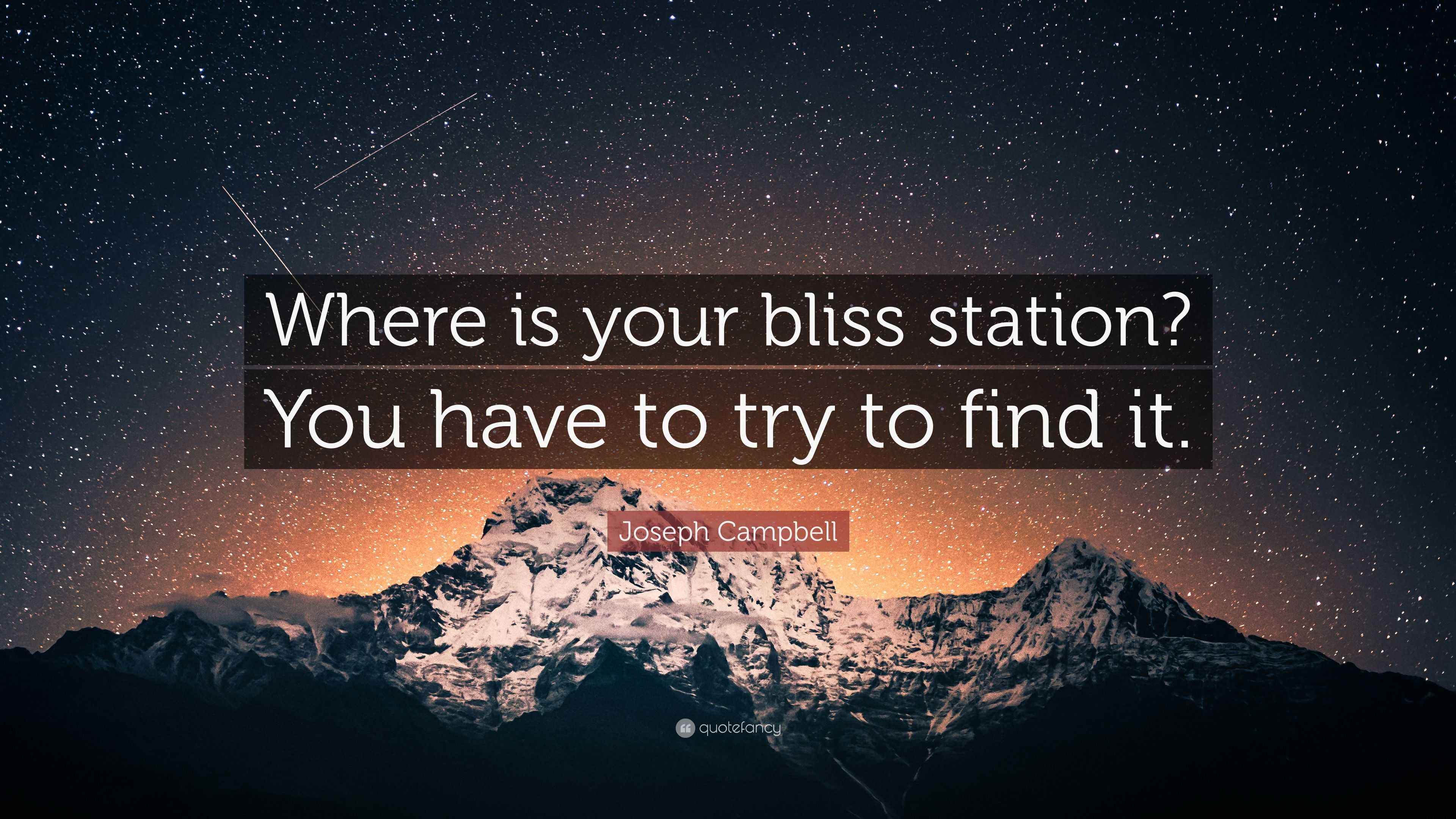 Joseph Campbell Quote: “Where is your bliss station? You have to try to ...