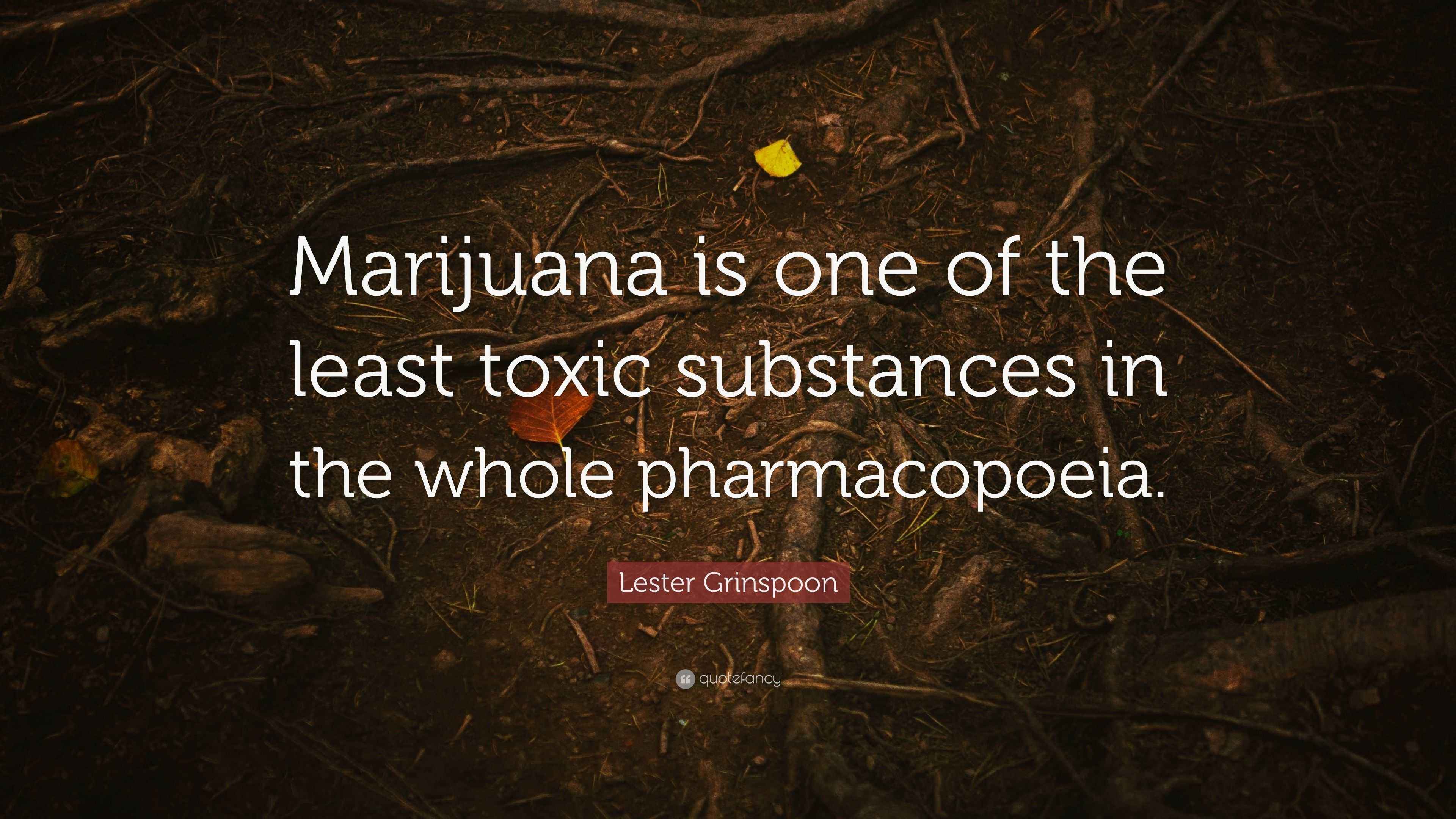 Lester Grinspoon Quote: “Marijuana is one of the least toxic substances ...