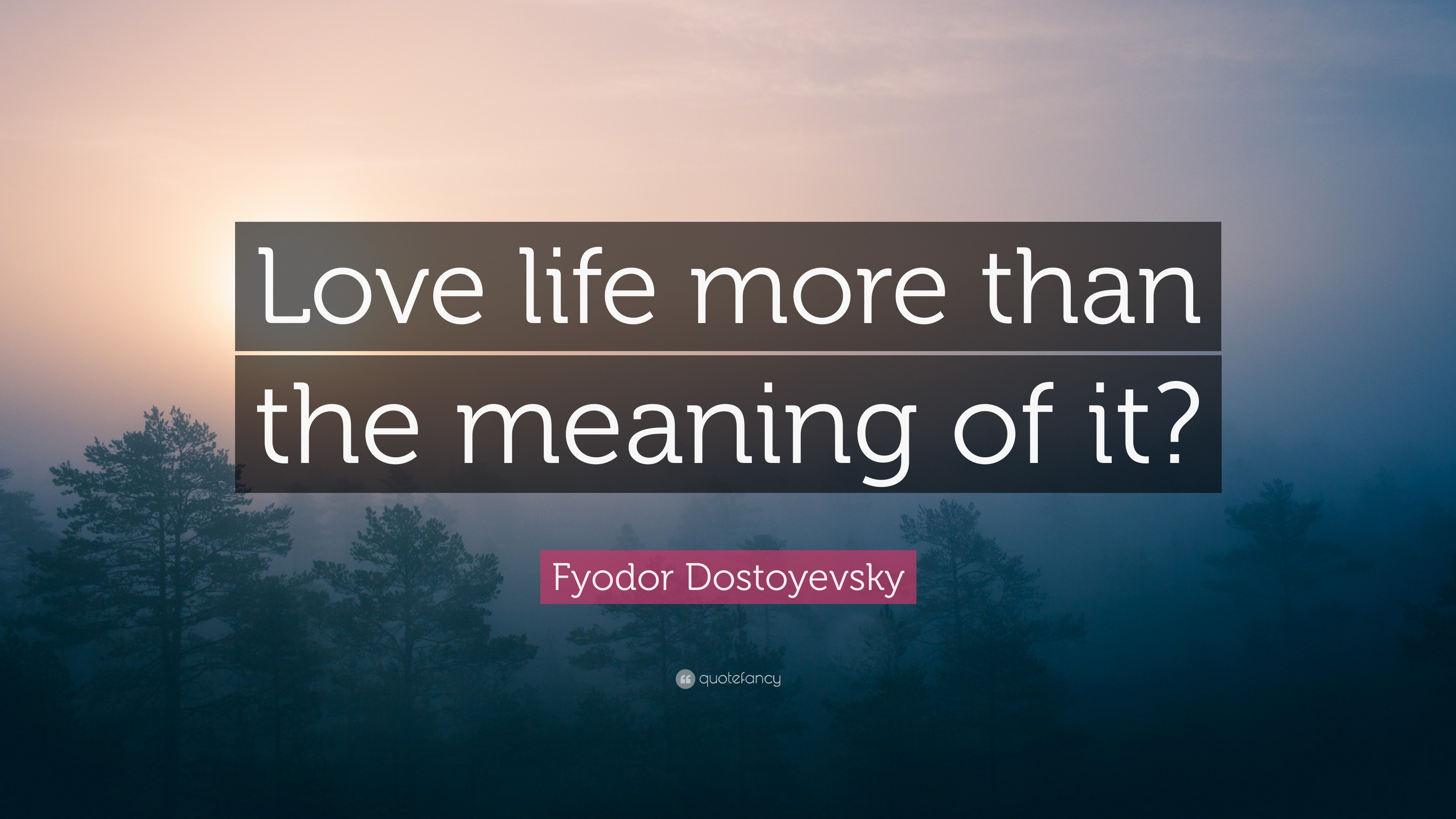 Fyodor Dostoyevsky Quote: “Love life more than the meaning of it?”