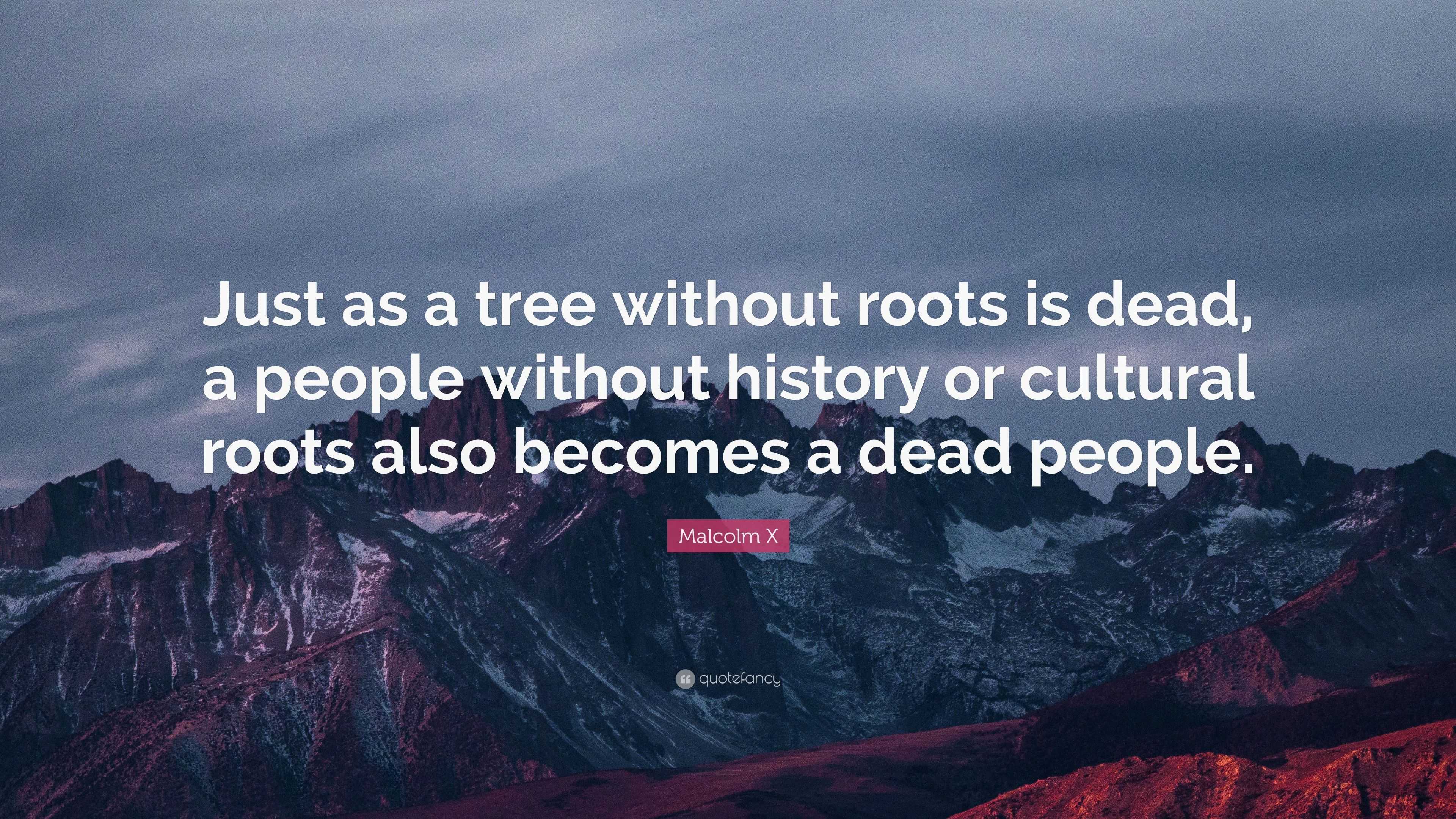 Malcolm X Quote: “Just as a tree without roots is dead, a people ...