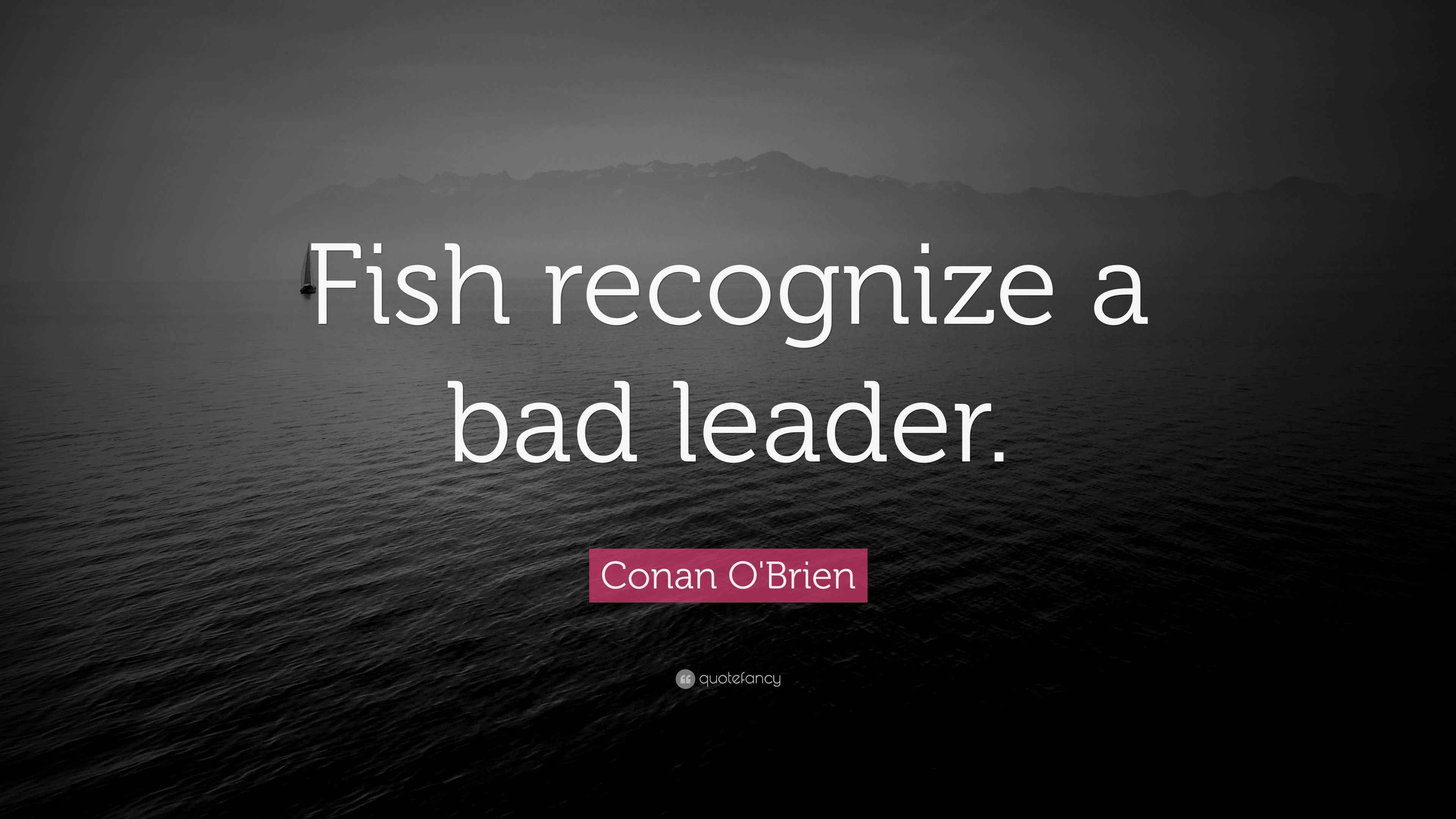 Conan O'Brien Quote: “Fish recognize a bad leader.”