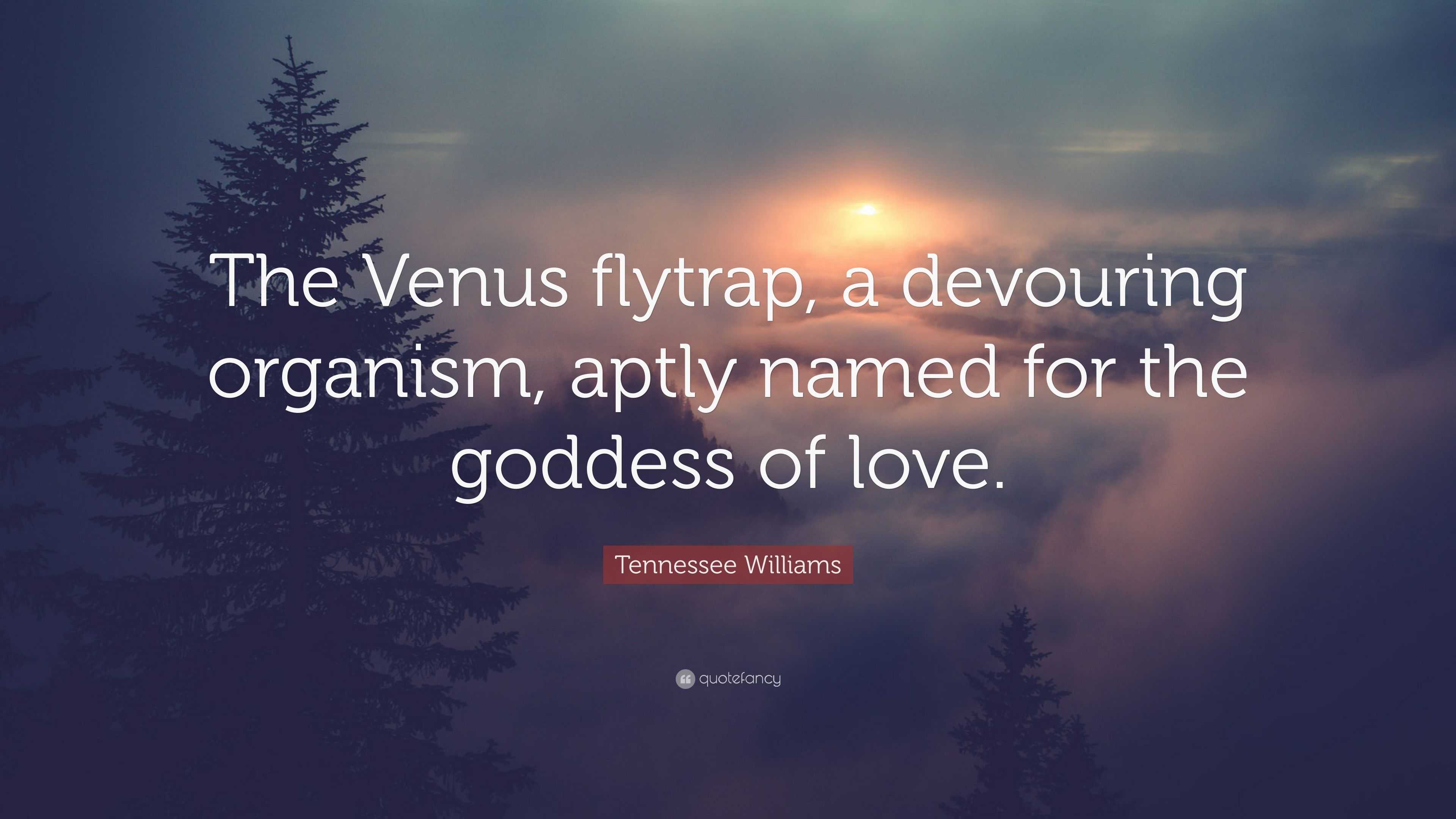 Tennessee Williams Quote: “The Venus flytrap, a devouring organism ...